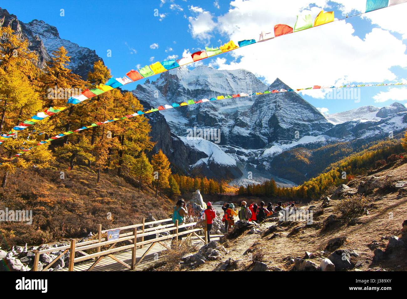 The Autumn at Yading Nature Reserve in Daocheng County ,China Stock ...