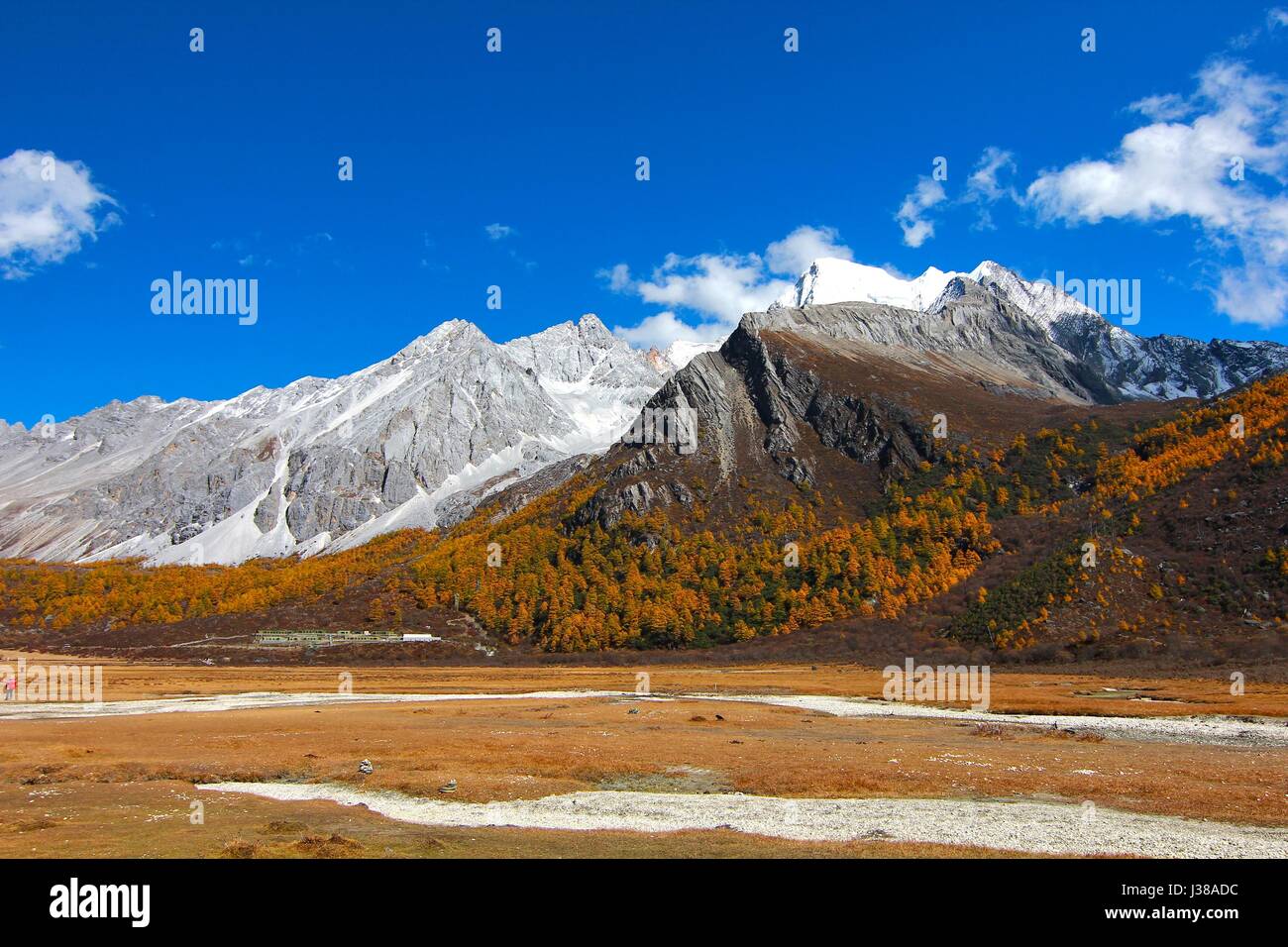 The Autumn at Yading Nature Reserve in Daocheng County ,China Stock ...