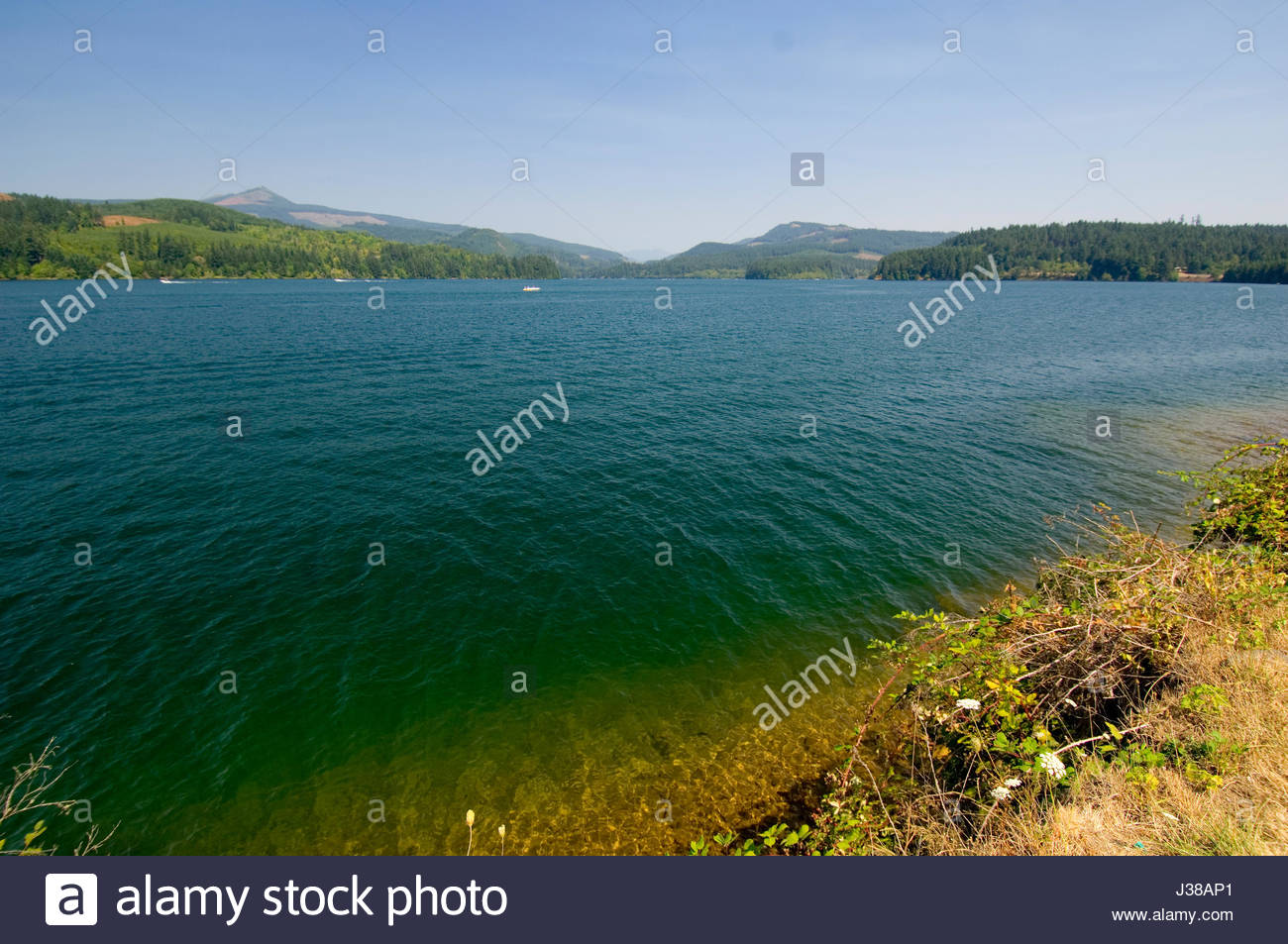 Foster Lake High Resolution Stock Photography and Images - Alamy