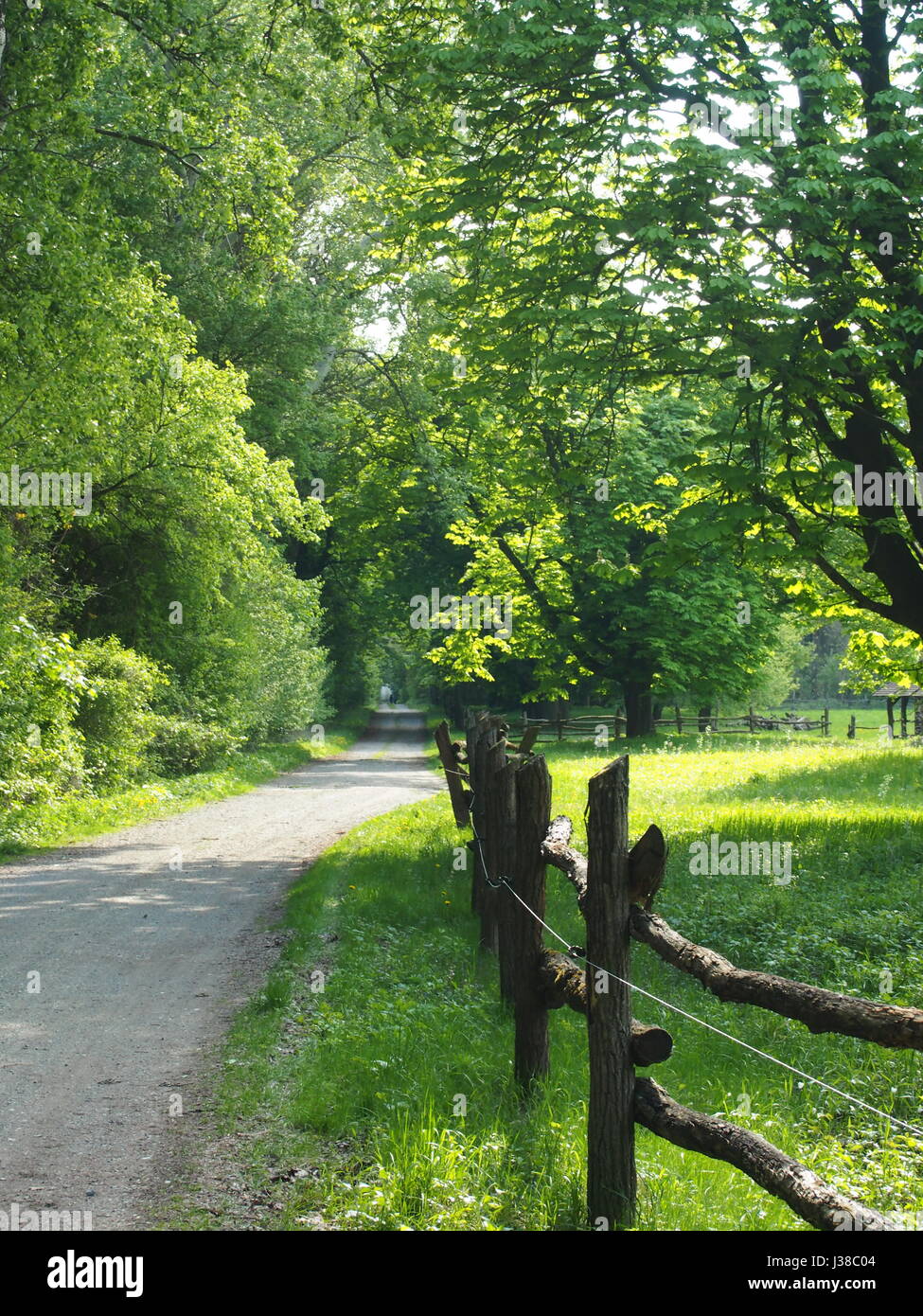 Outdoors photo of national park nature and path Stock Photo - Alamy