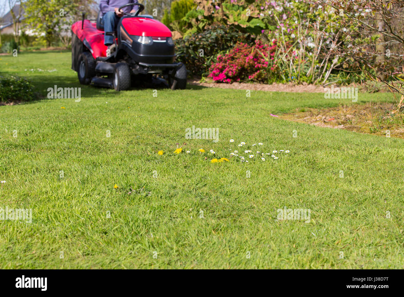 Mulching ride on mower hi-res stock photography and images - Alamy