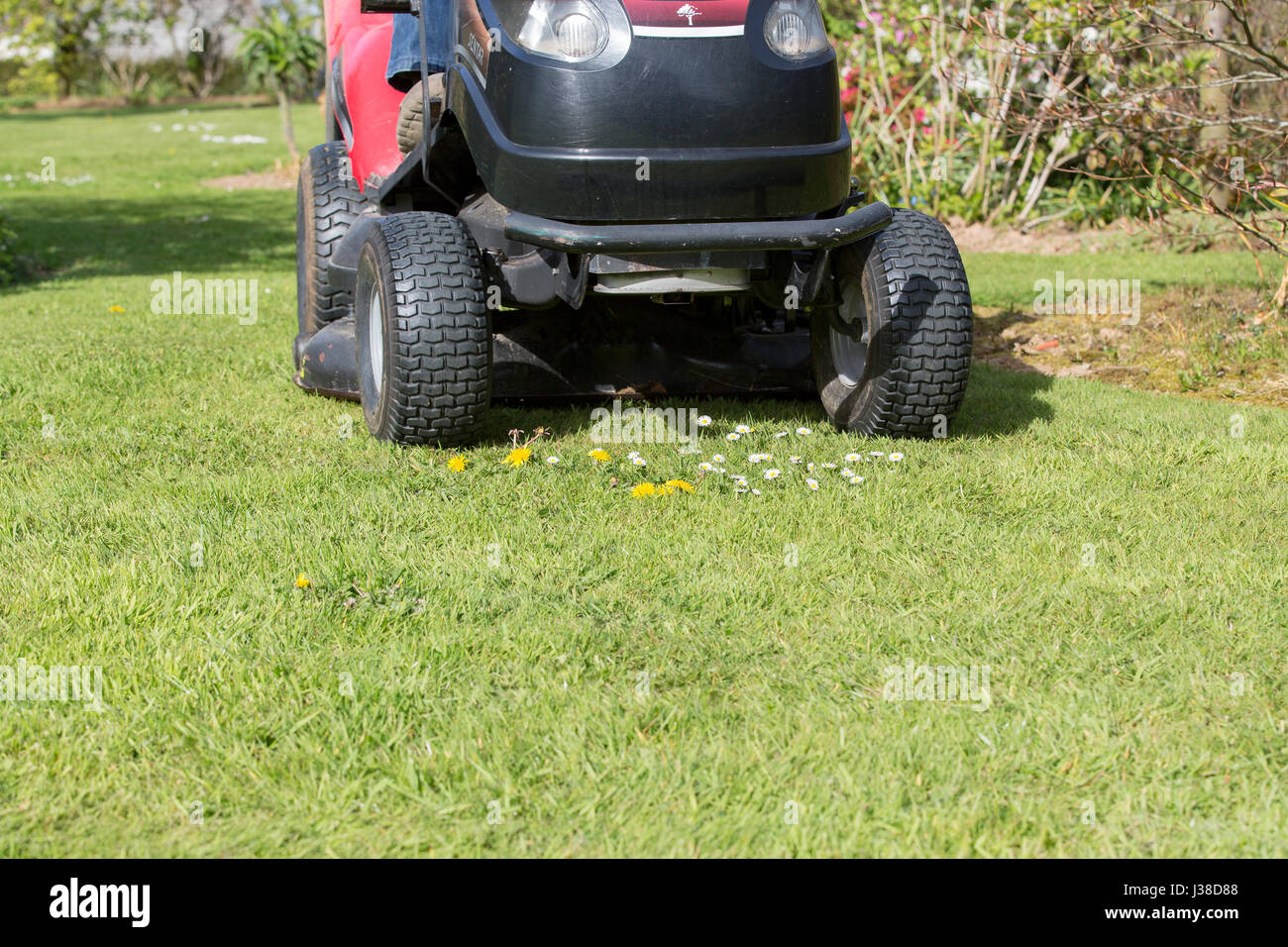 Gardner on ride on mowing the lawn green nature France Stock Photo - Alamy
