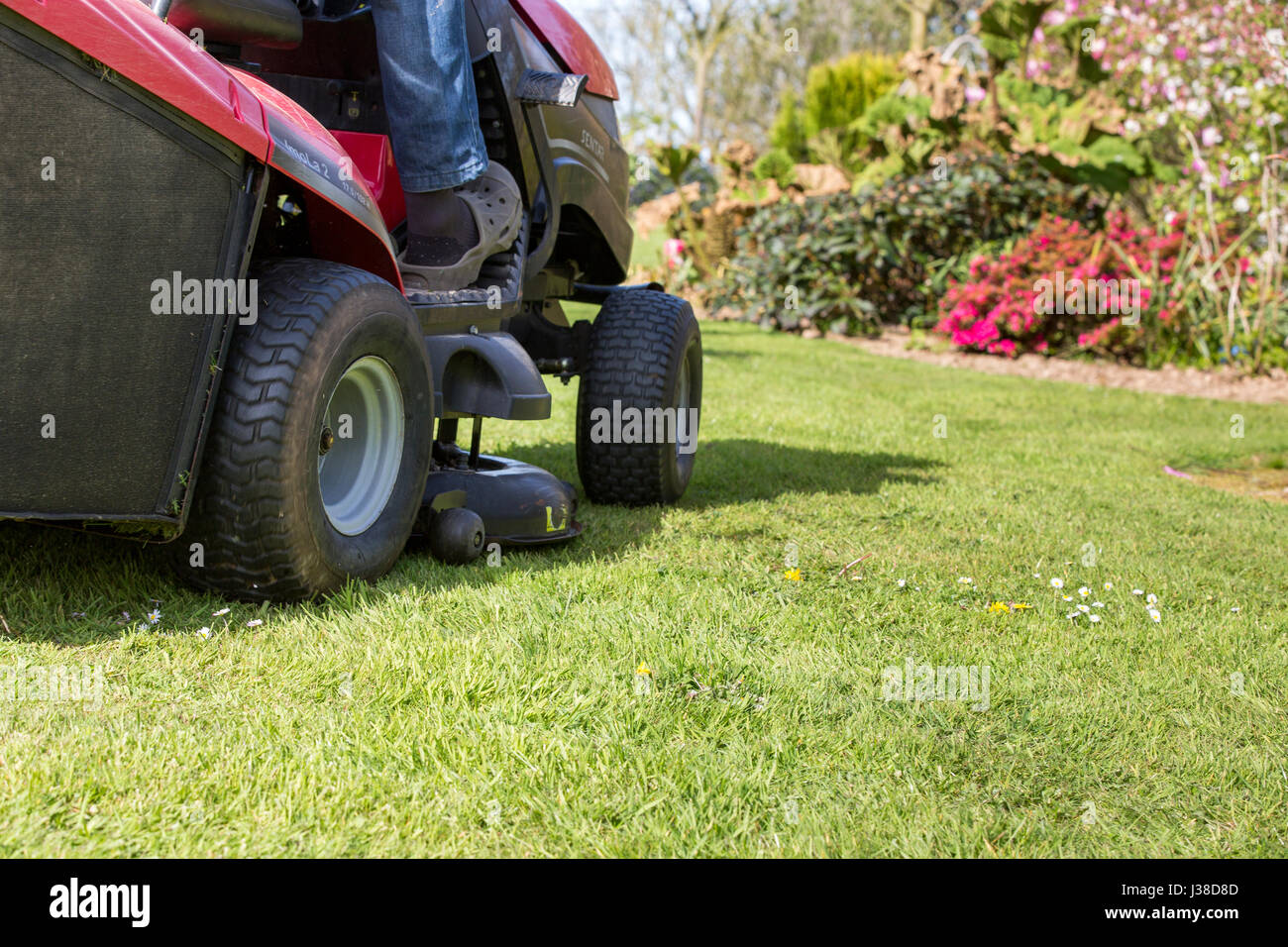Gardner on ride on mowing the lawn green nature France Stock Photo - Alamy