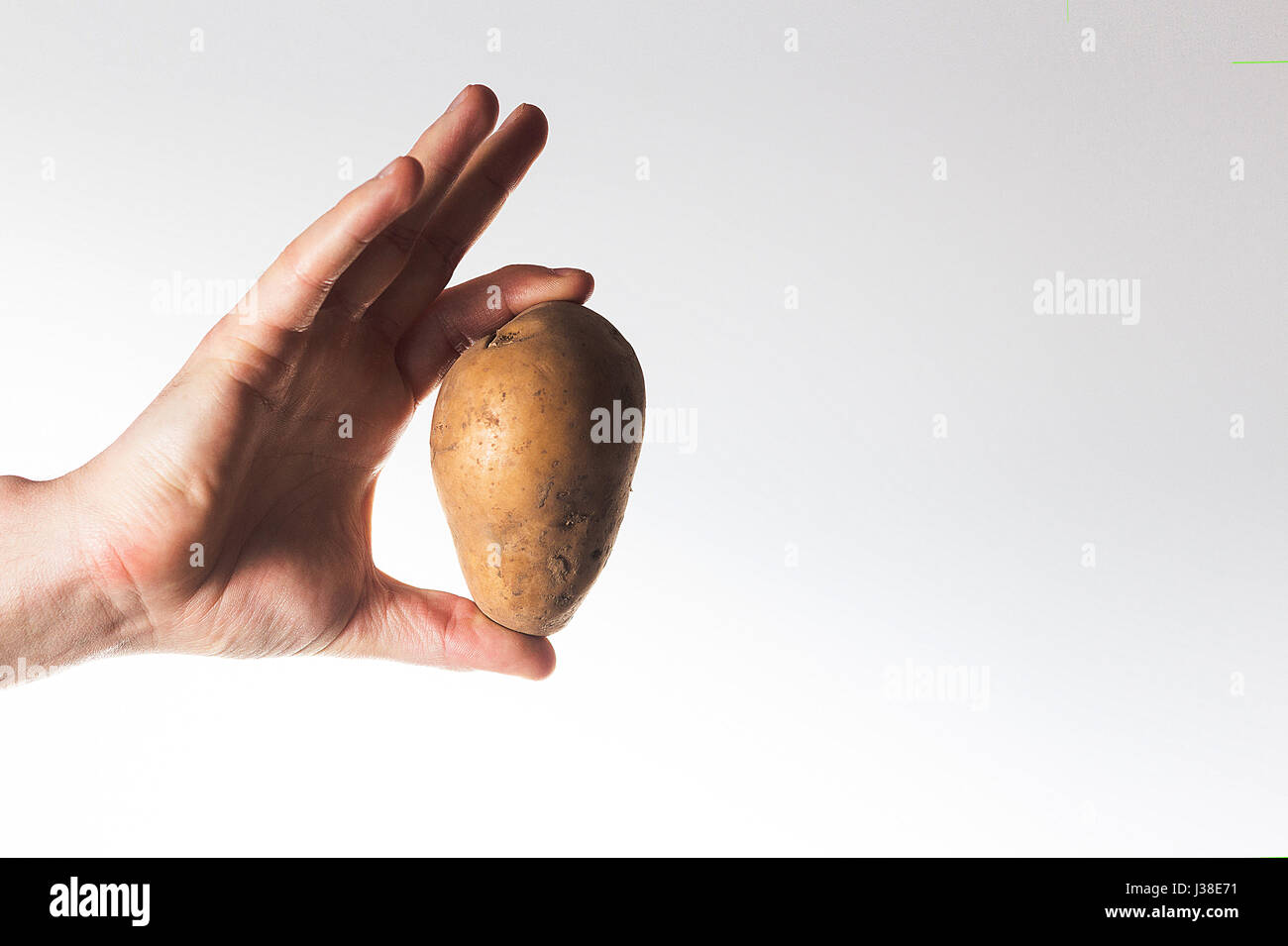 hand holding a potato on a white background farmer, vegetarian Stock ...