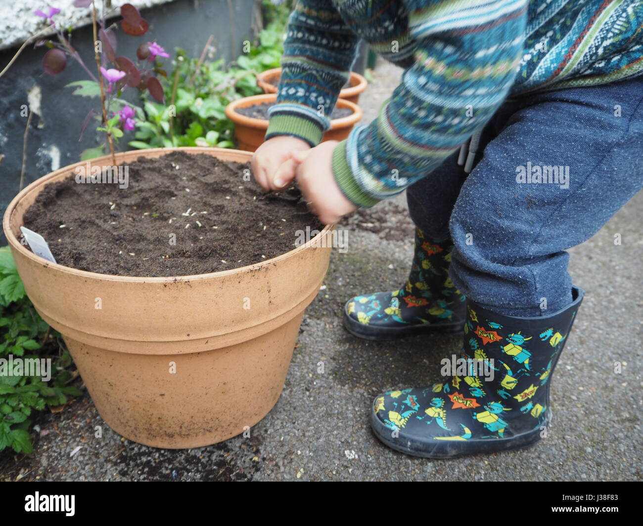 Boy planting seeds hi-res stock photography and images - Alamy
