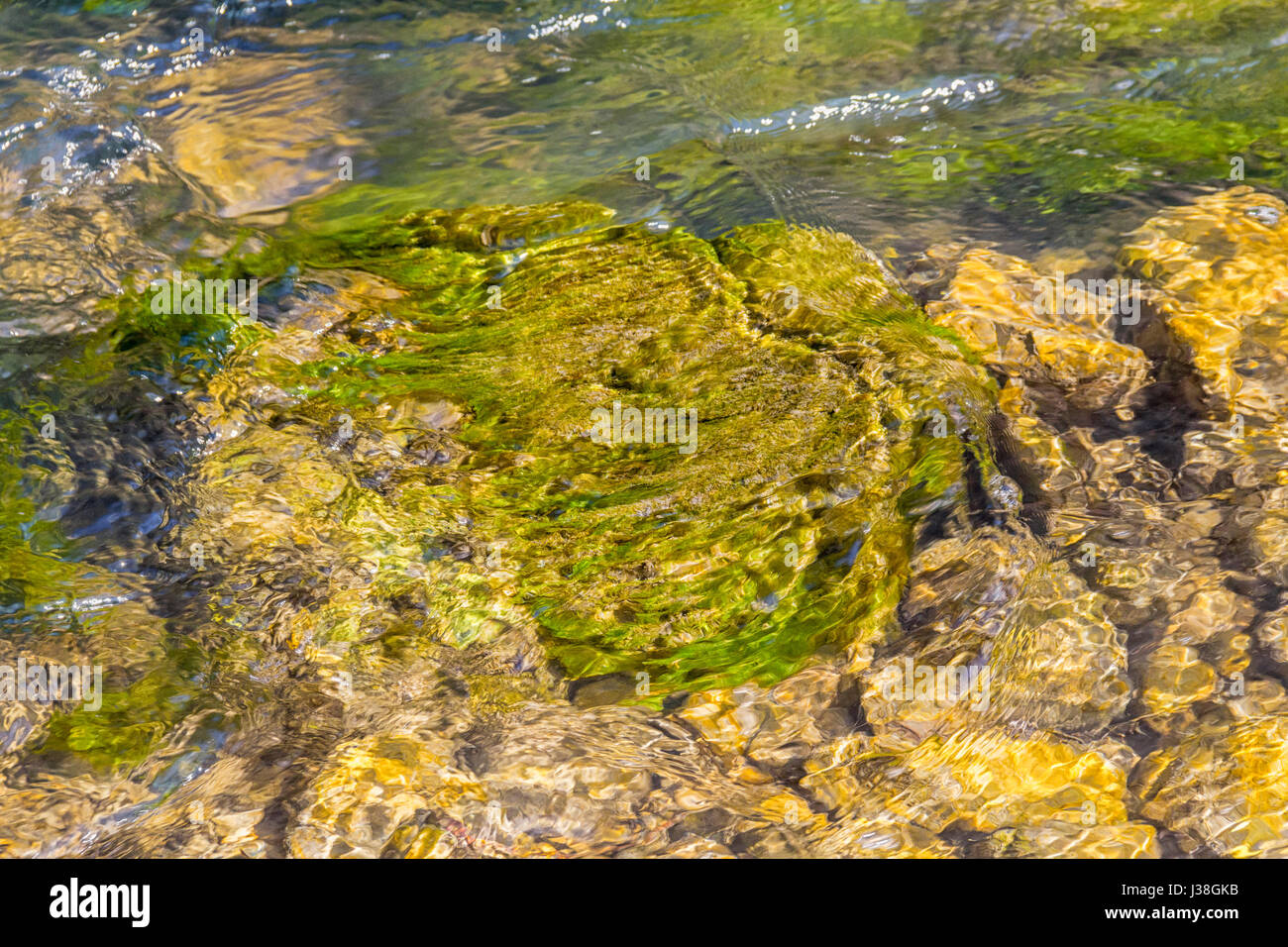 outdoor scenery showing water flowing over pebbles Stock Photo - Alamy