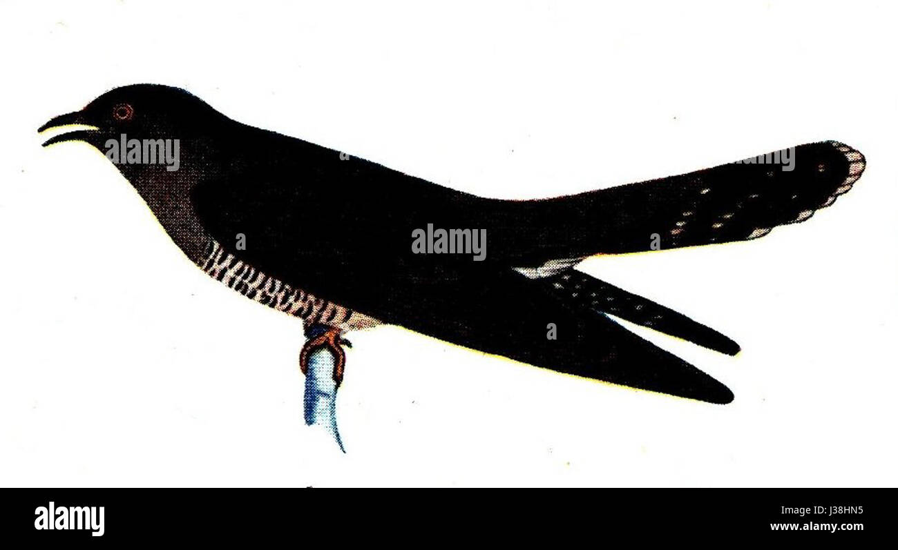 офорт ссср одесса 1925 Cut Out Stock Images & Pictures - Alamy