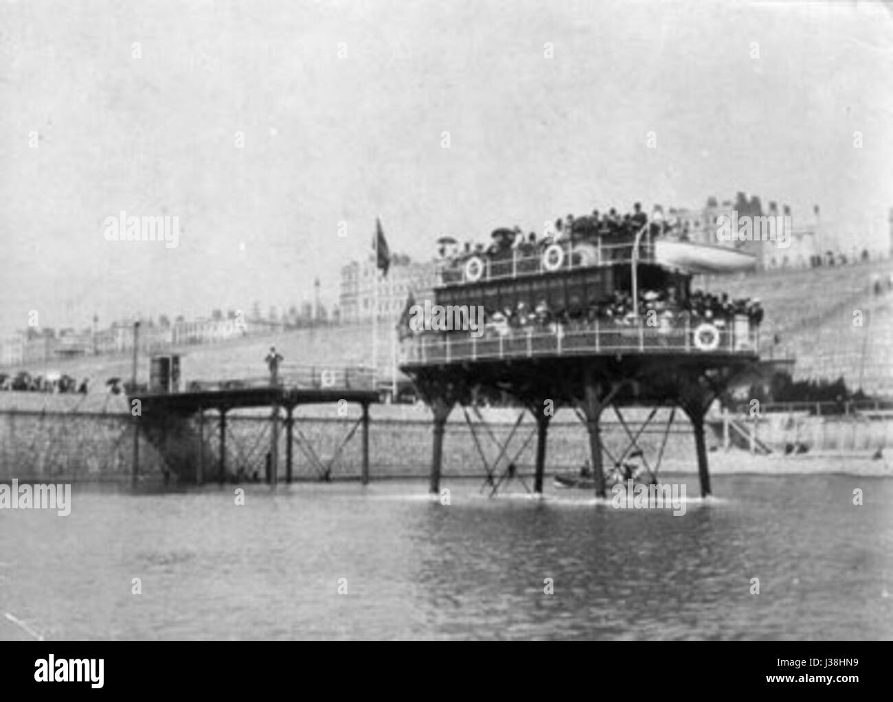 Non venomous animal Black and White Stock Photos & Images - Alamy