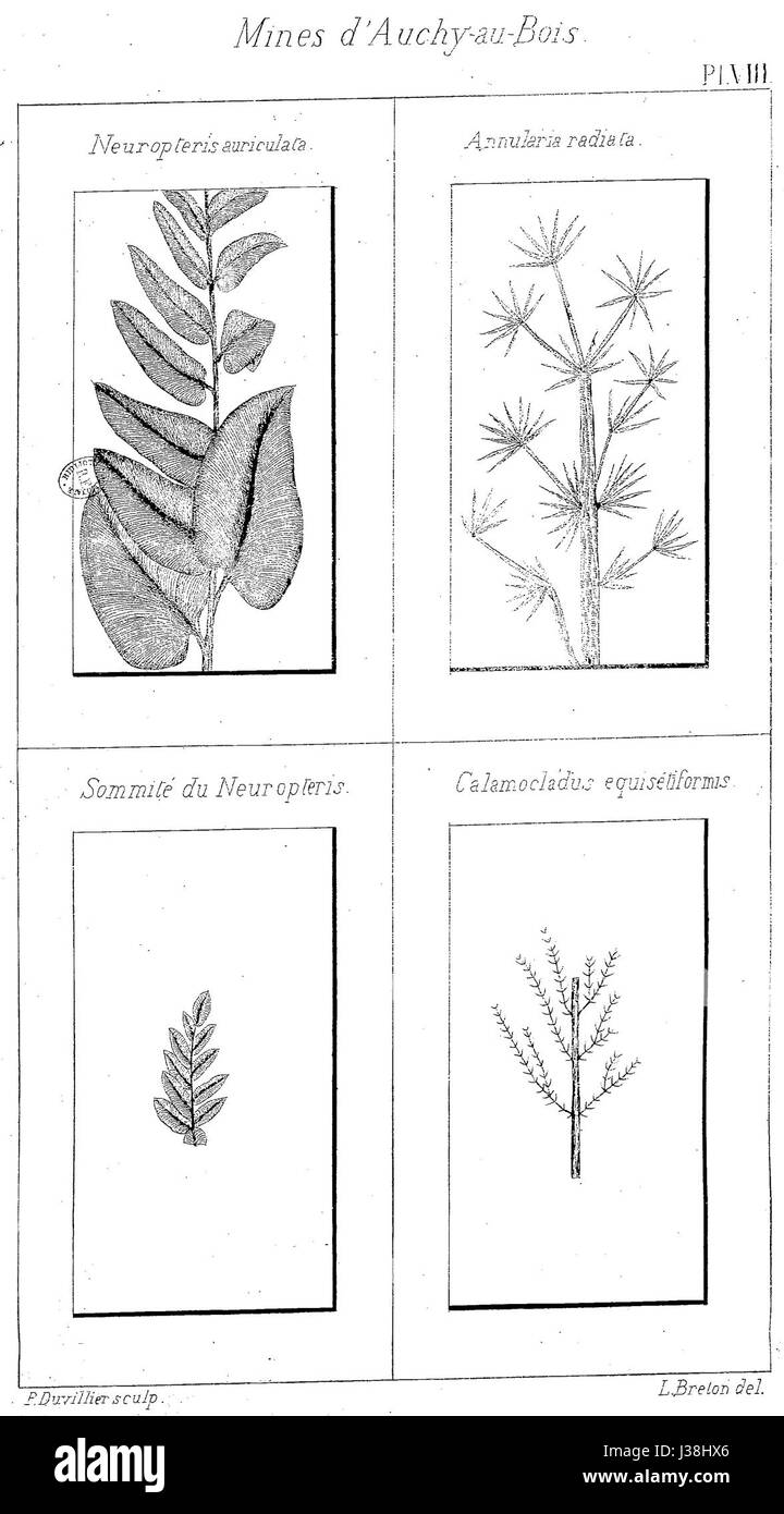 France mining 19th Black and White Stock Photos & Images - Alamy