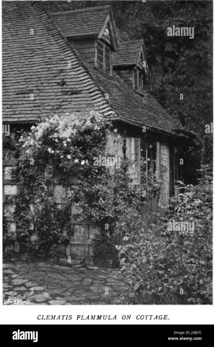 Any colour Black and White Stock Photos & Images - Alamy