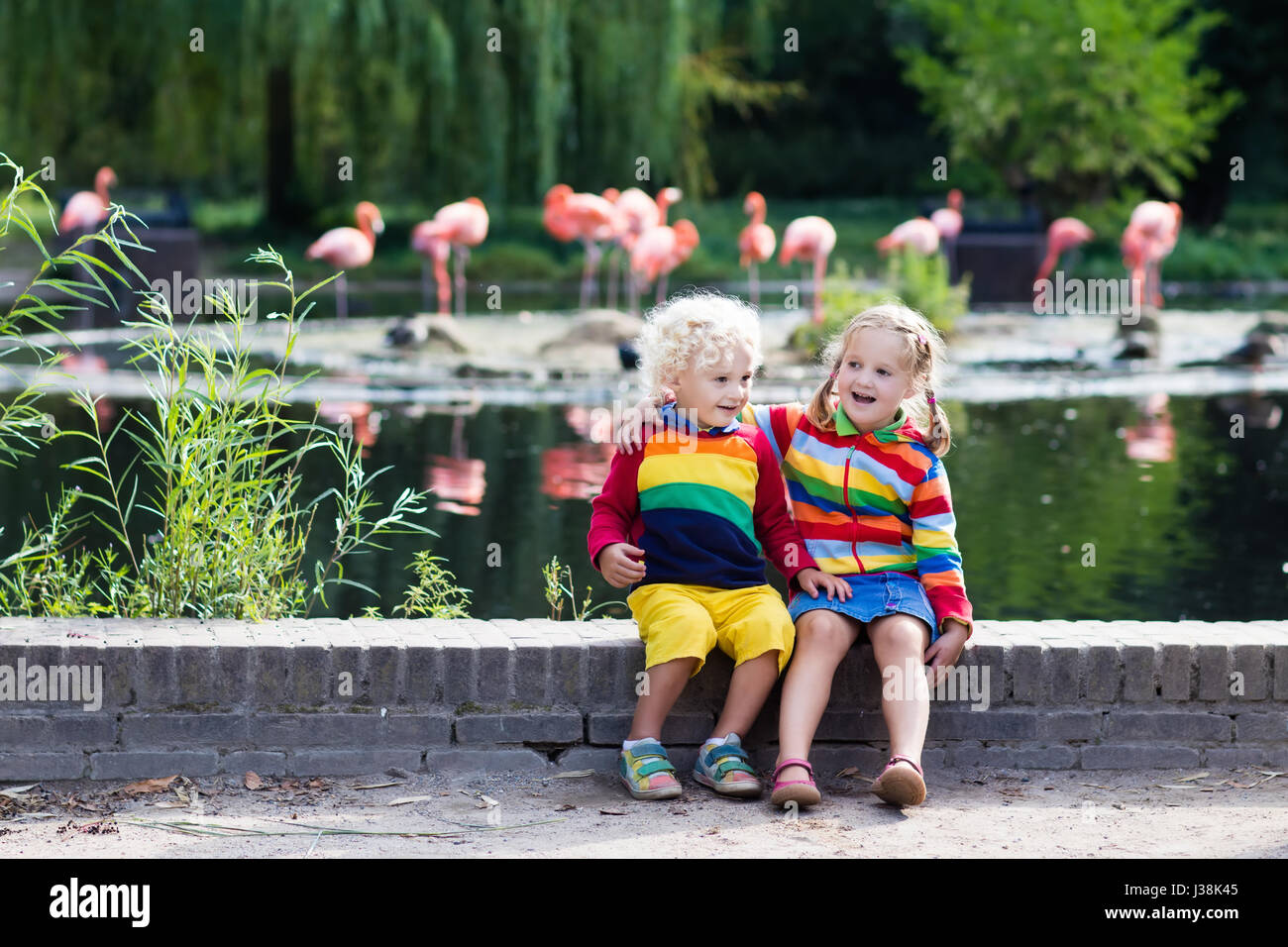 Kids watch animals and birds at the zoo. Children watching wild life at ...