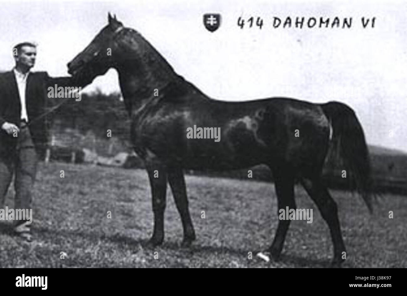 Dahoman VI was an influential leader in West Africa, known for his ...