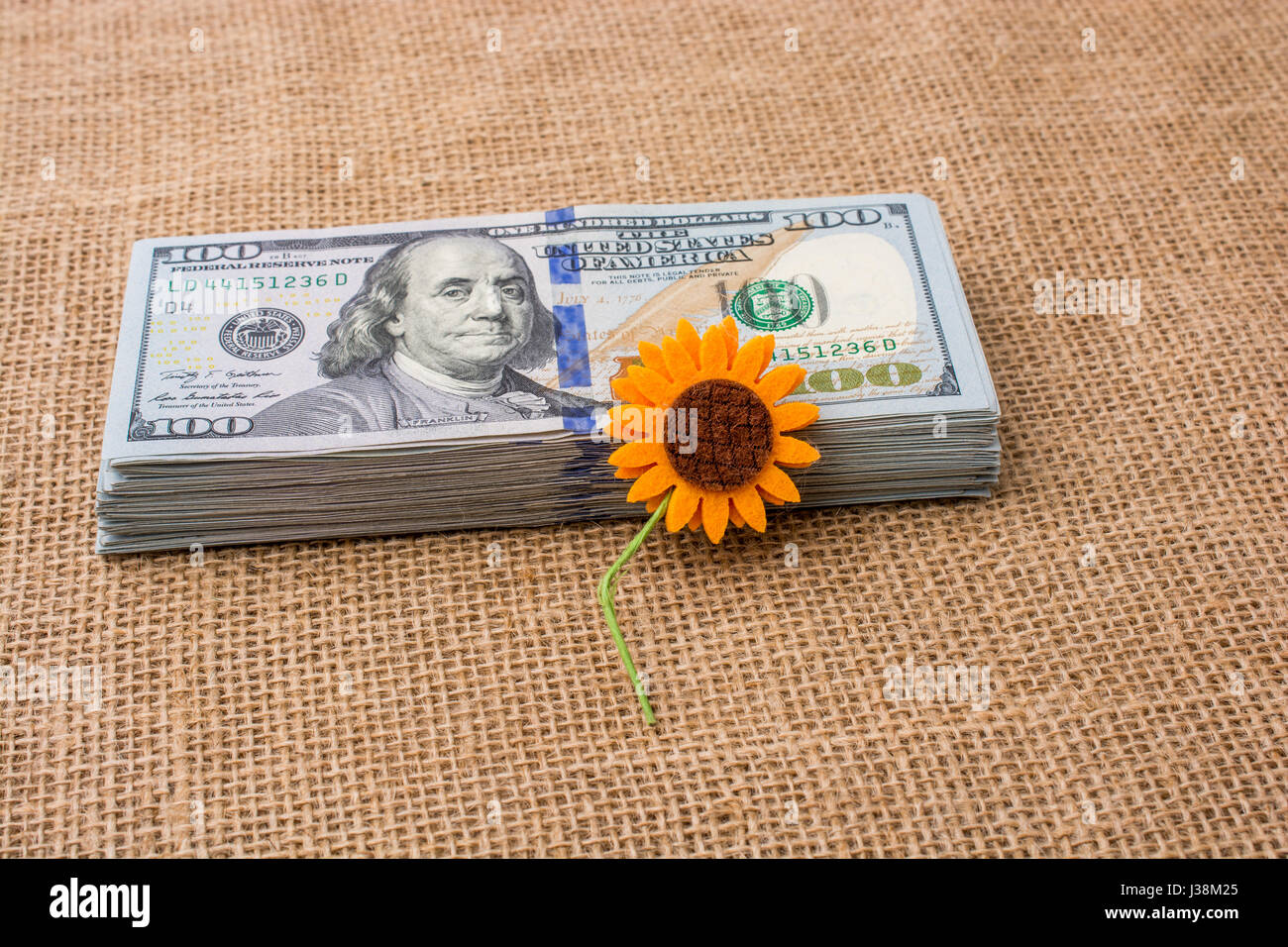 Fake flower placed on the banknote bundle of US dollar Stock Photo - Alamy