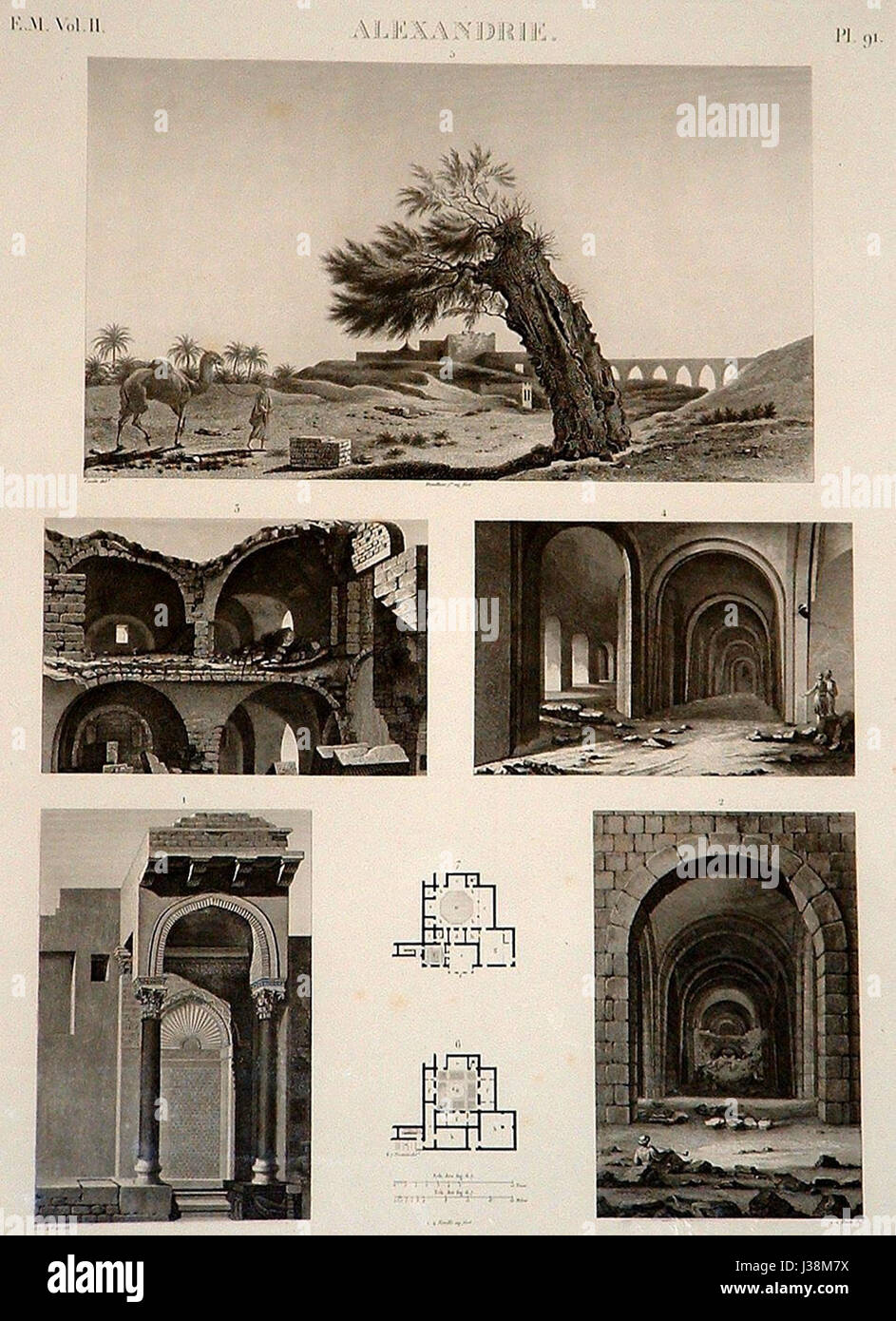 Plate 91 from 'Description de l'Egypte' depicting the Pilgrims' Tree ...