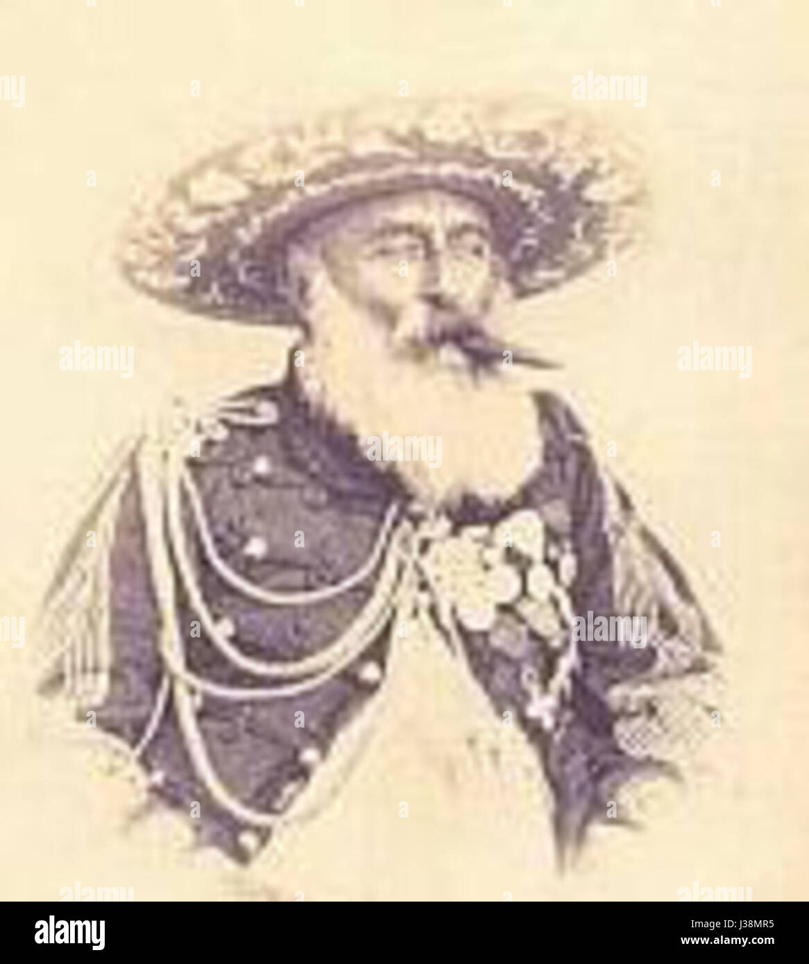 Colonel du pin 2 Stock Photo - Alamy