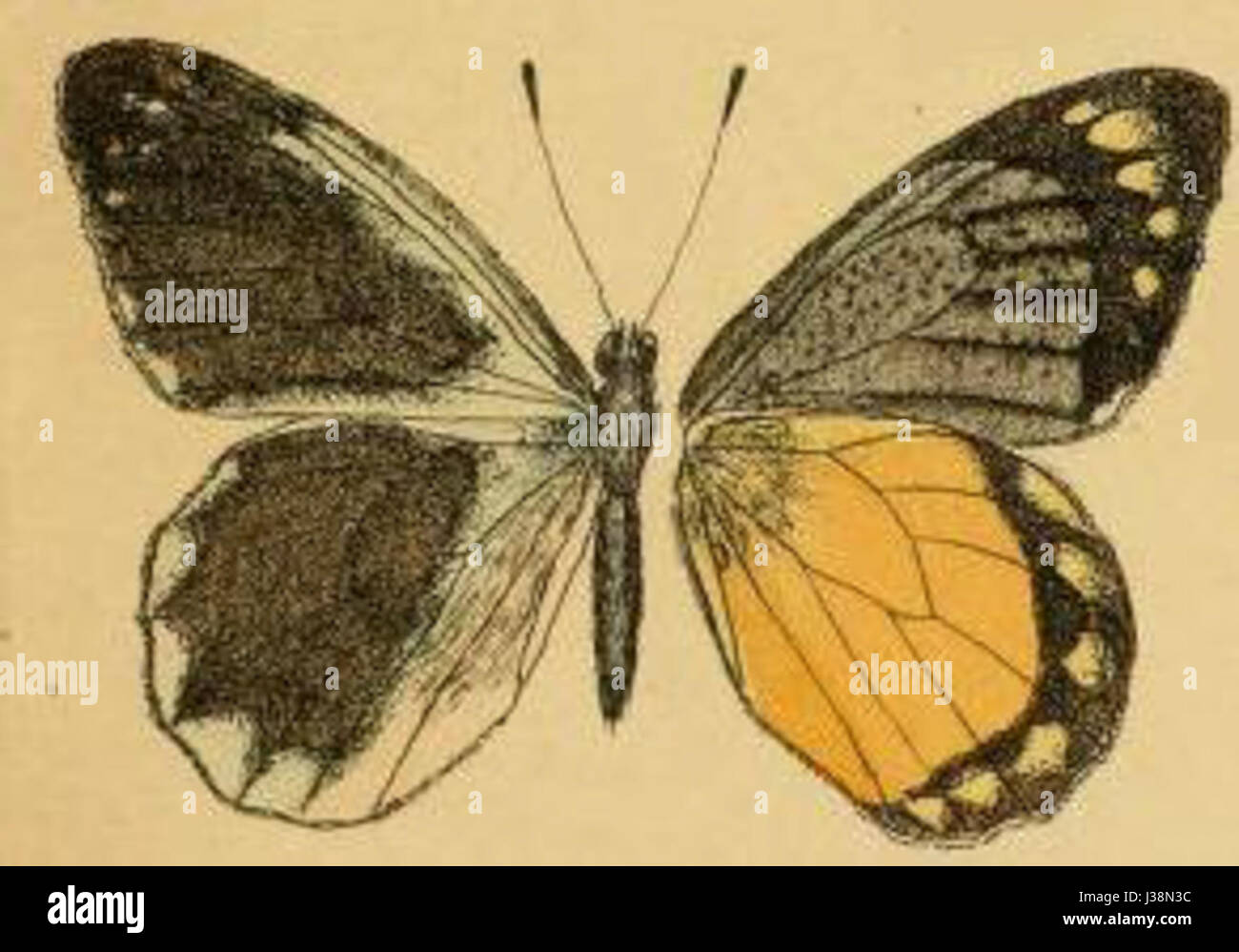 Melusina High Resolution Stock Photography and Images - Alamy