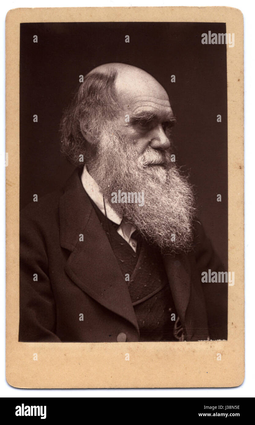 John murdoch hi-res stock photography and images - Alamy