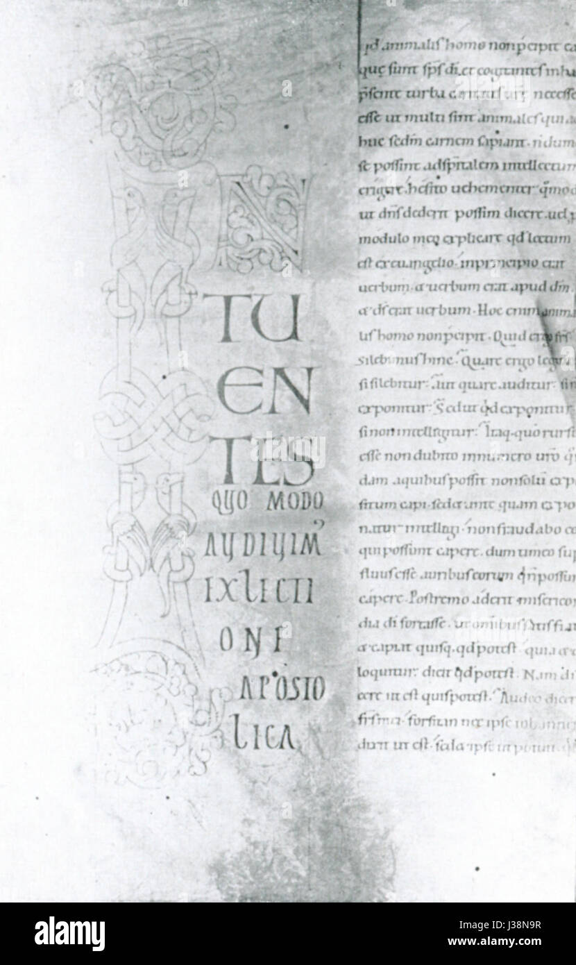 The Codex Cuno von Waldburg 2 is a medieval manuscript, known for its ...