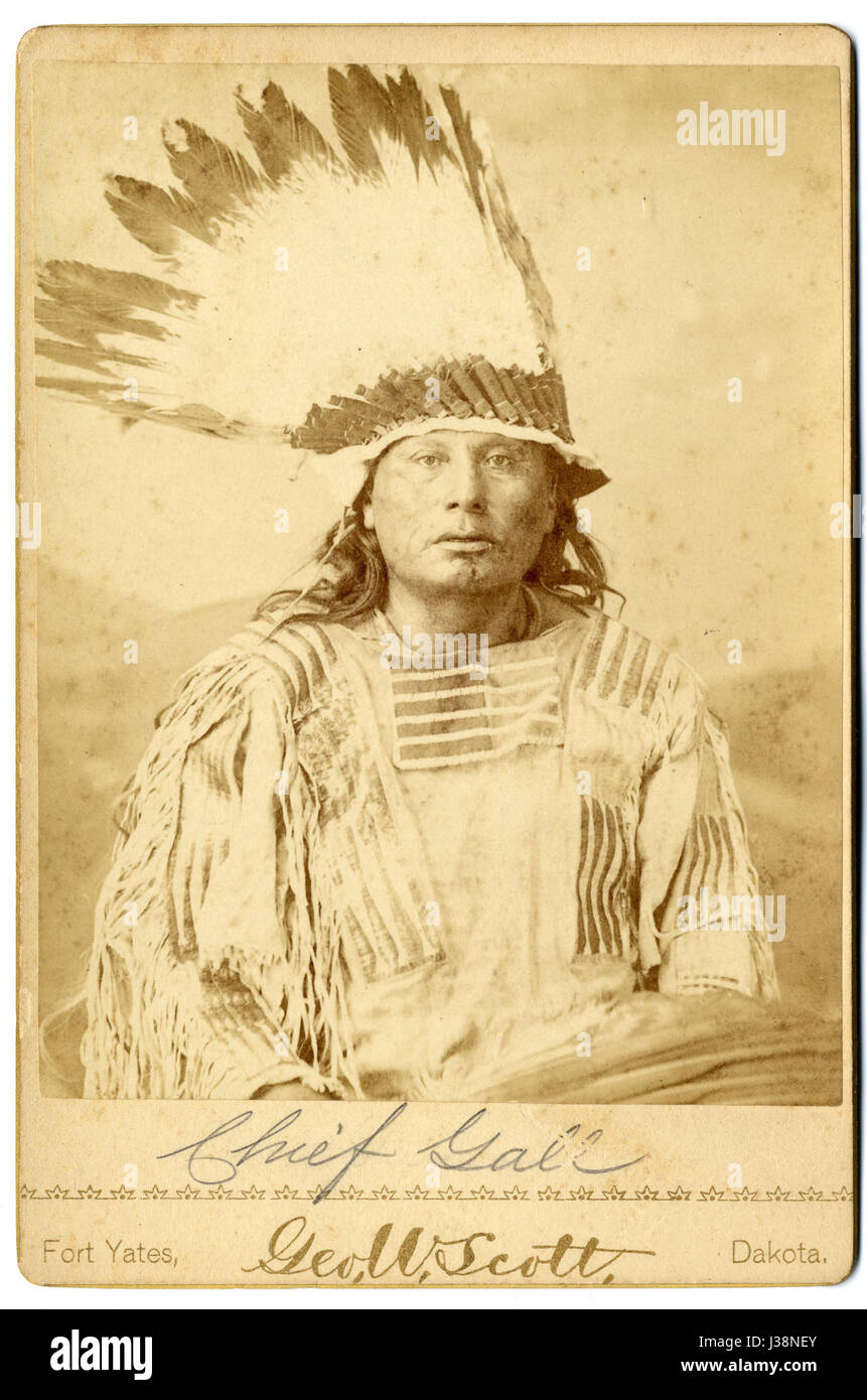Chief gall hi-res stock photography and images - Alamy