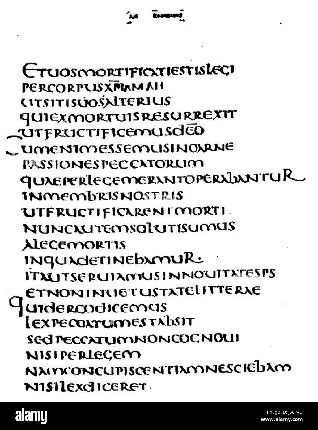The *Codex Claromontanus* is an important manuscript of the New ...