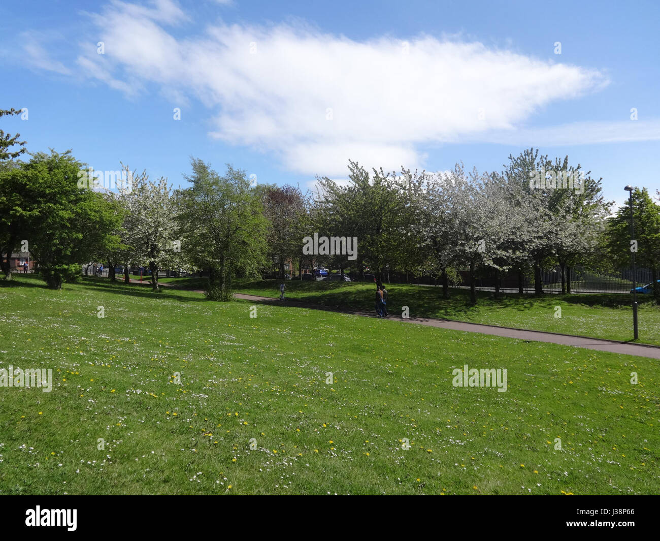 Crown street park liverpool 07 hi-res stock photography and images - Alamy