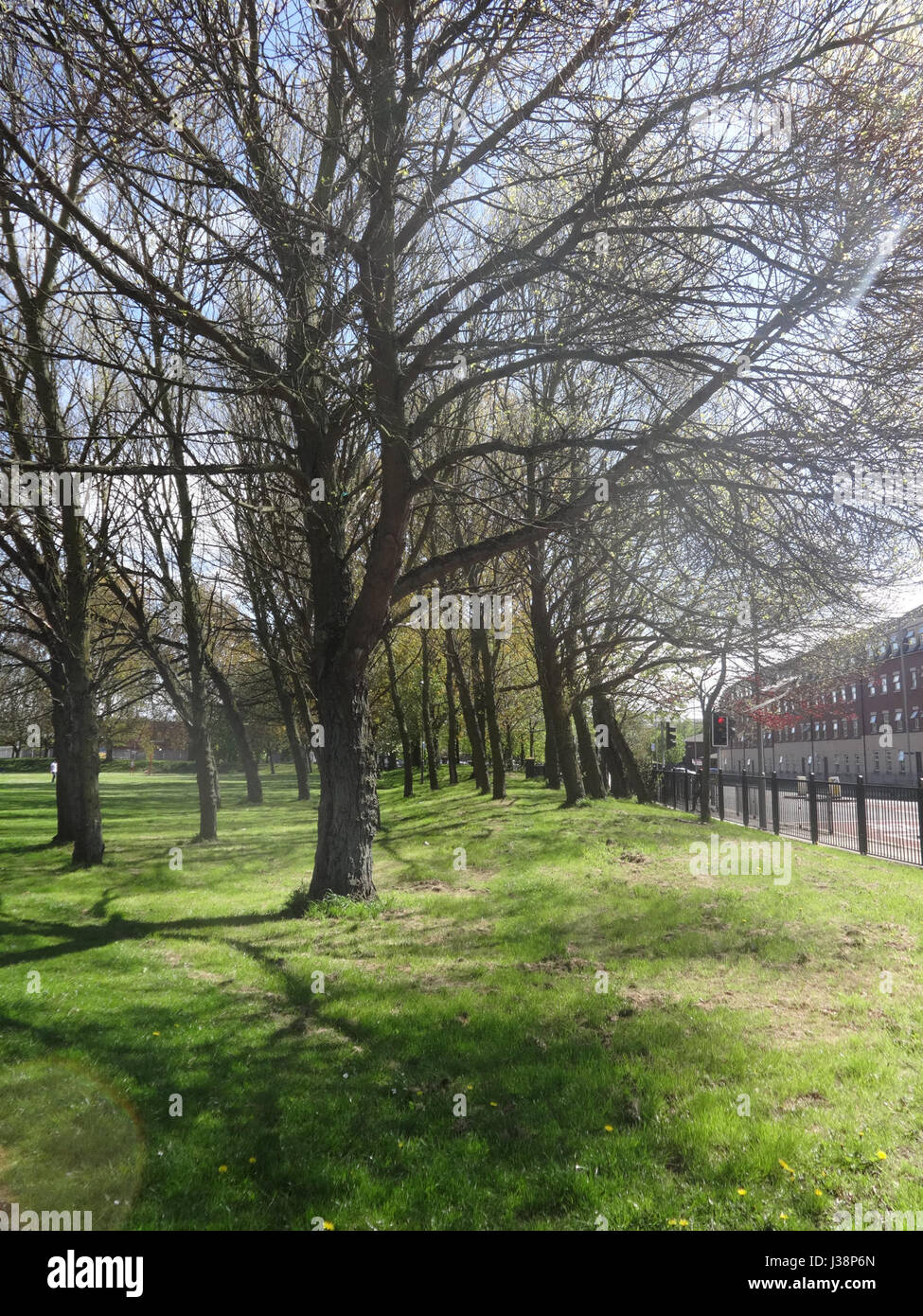 Liverpool this may hi-res stock photography and images - Alamy