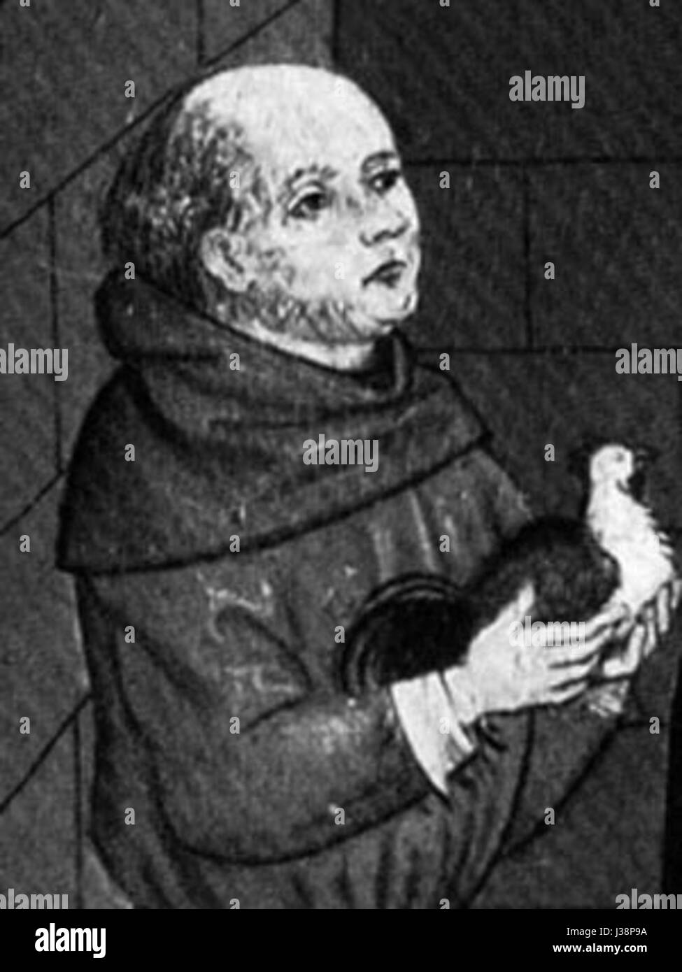 Erer hi-res stock photography and images - Alamy