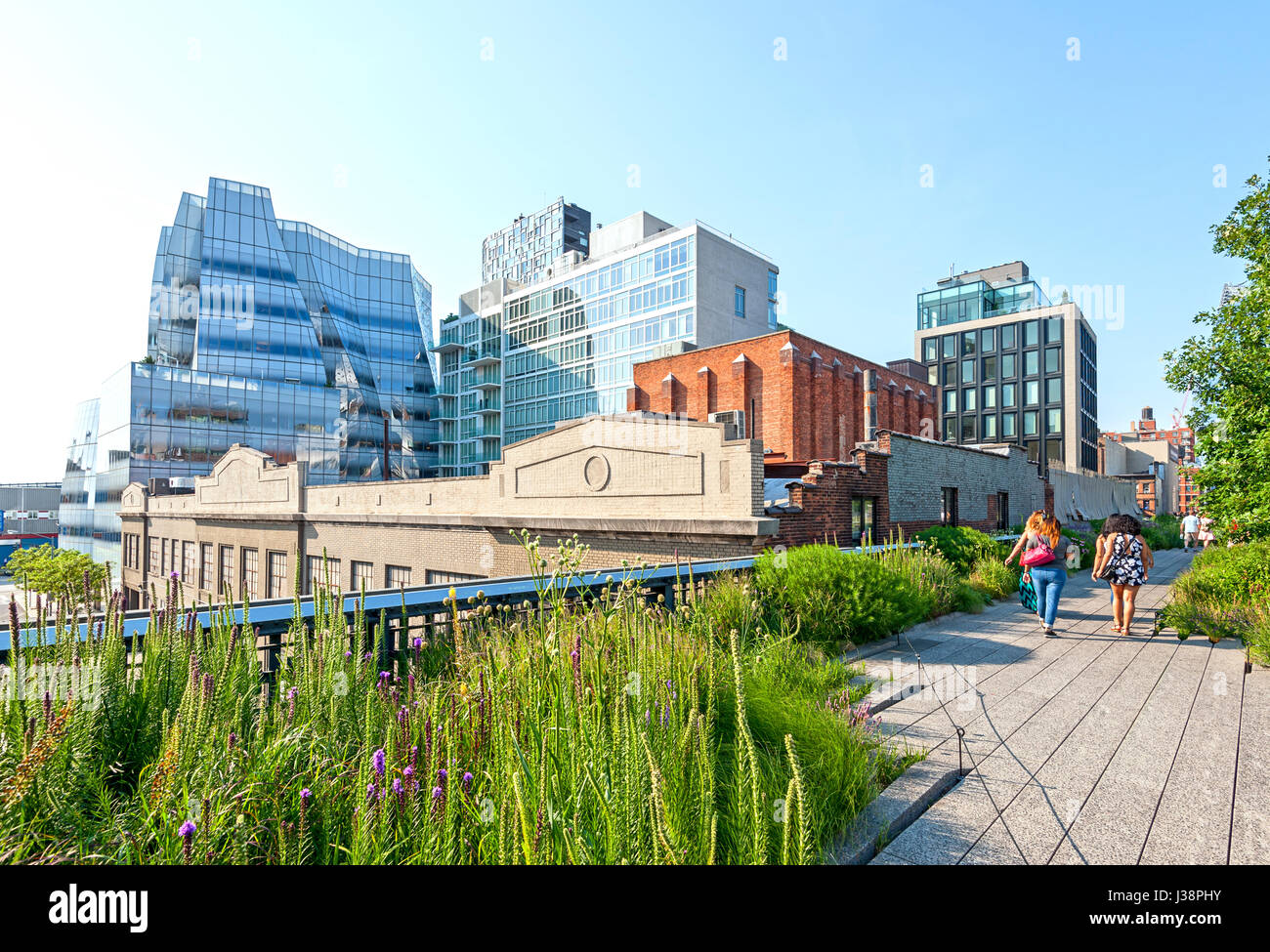 High Line New York City Chelsea Manhattan Stock Photo - Alamy