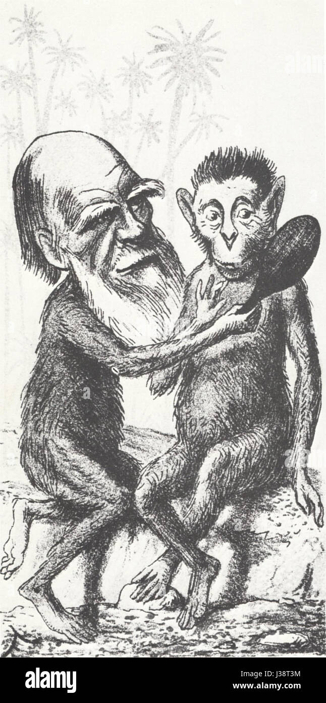 The Darwin cartoon in the London Sketchbook depicts the famous ...