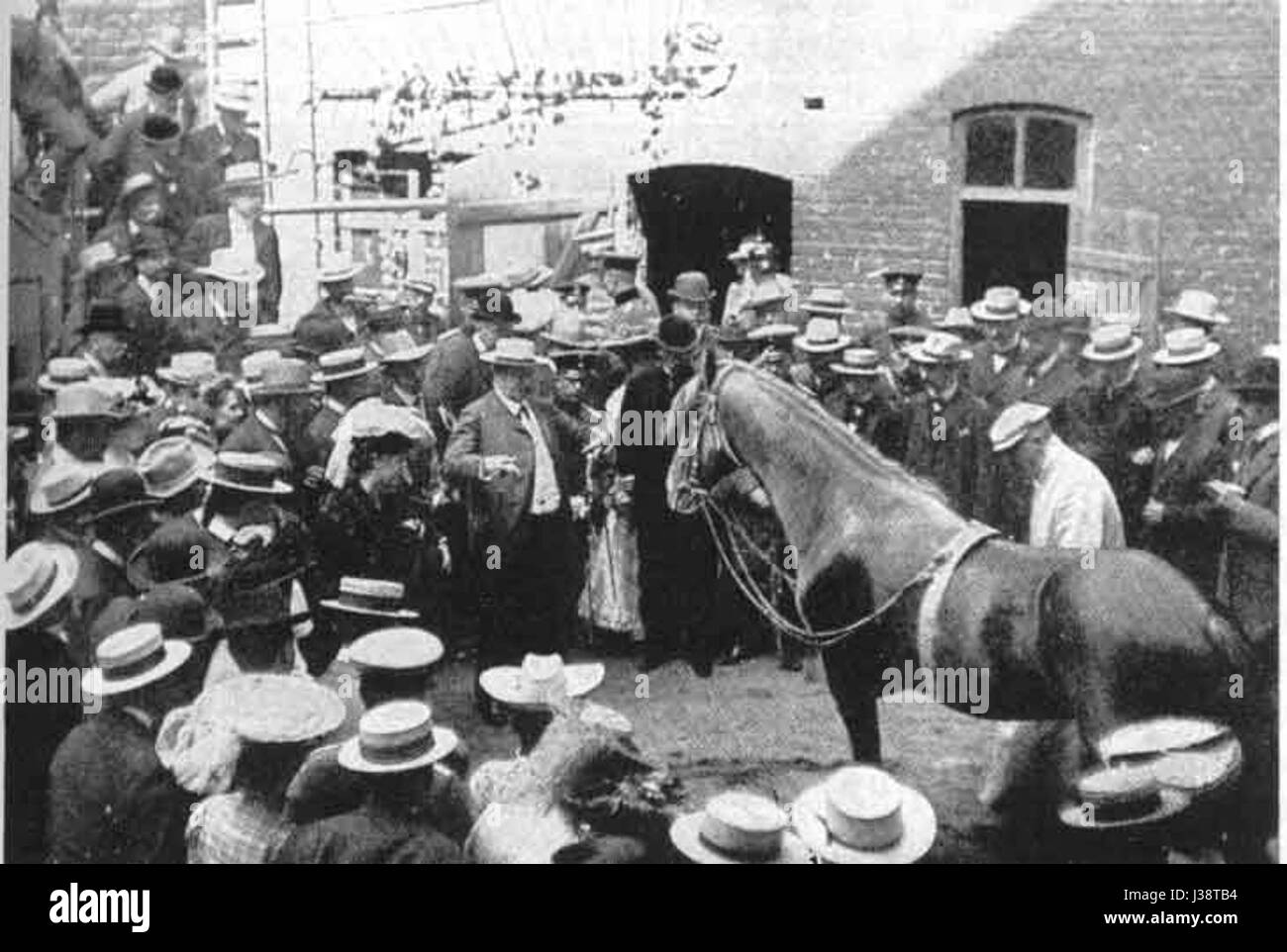 Psychology training horse Black and White Stock Photos & Images - Alamy