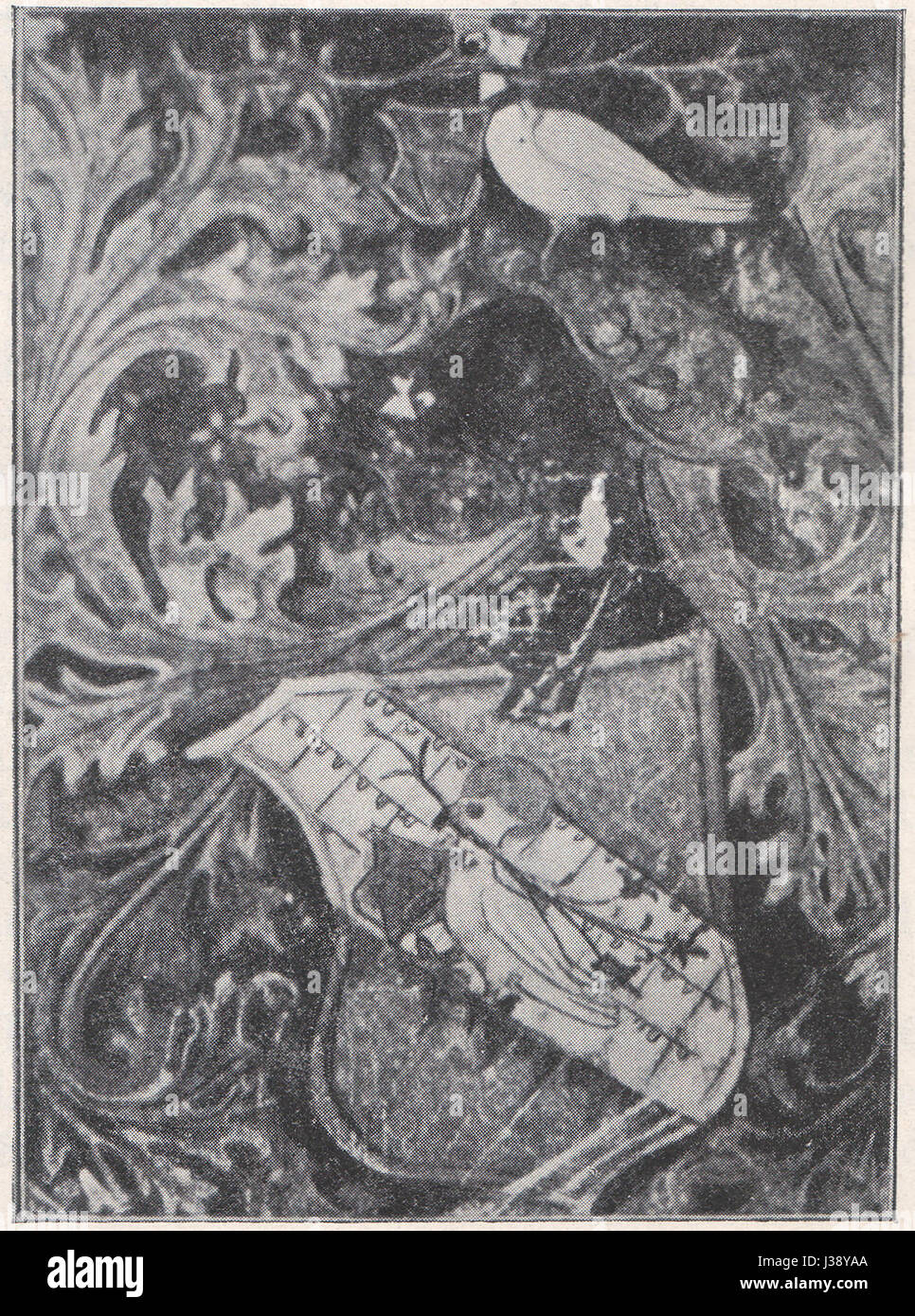 This coat of arms from 1486 represents the guild of furriers in ...