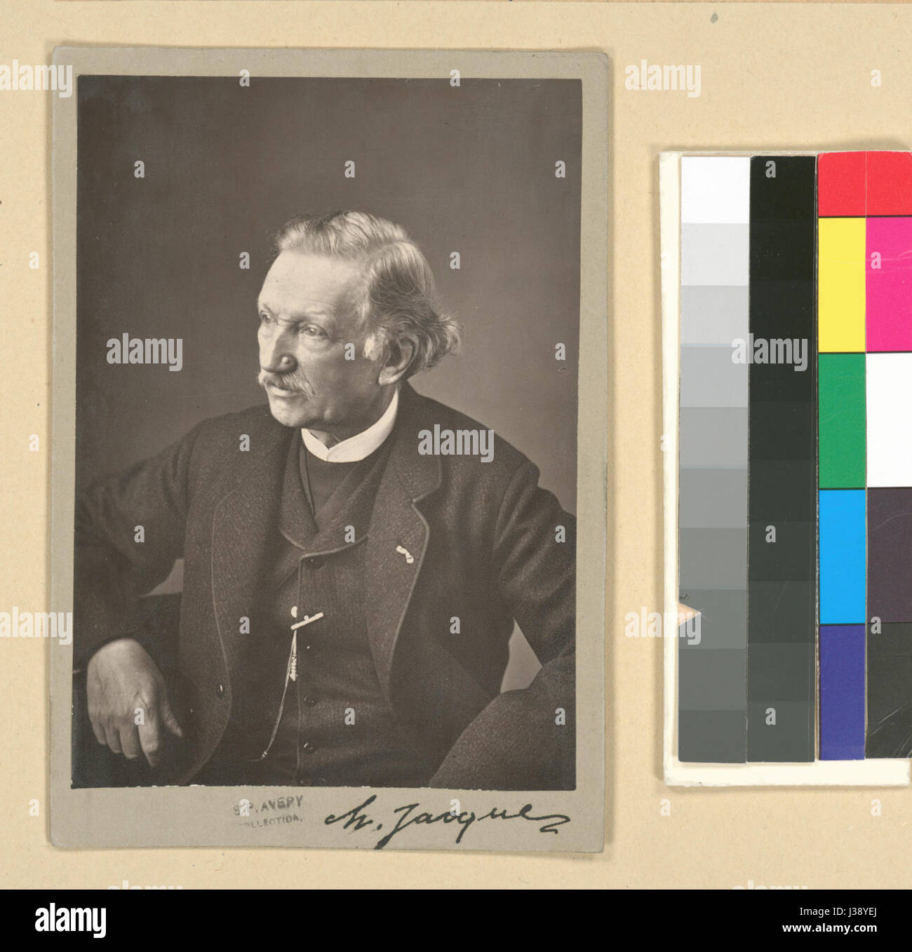 Charles Jacque was a French artist known for his work as an etcher and ...