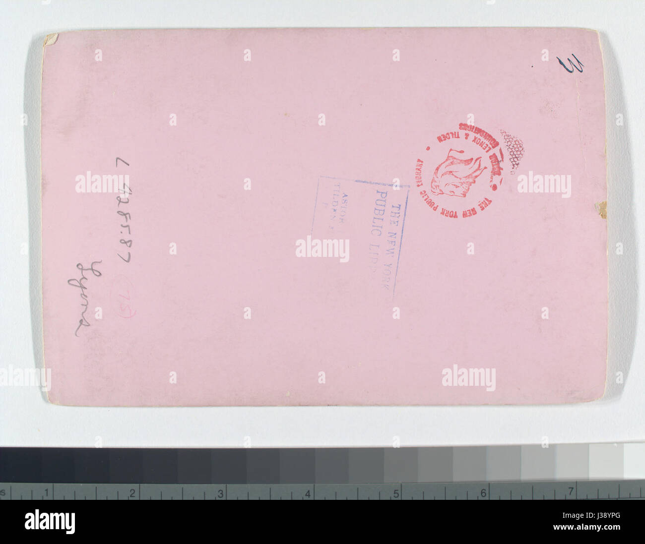 Denny Lyons was a significant figure in 19th-century New York, known ...