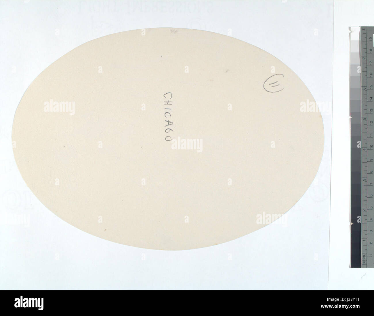 The Chicago team, likely referring to a historical or sports team from ...