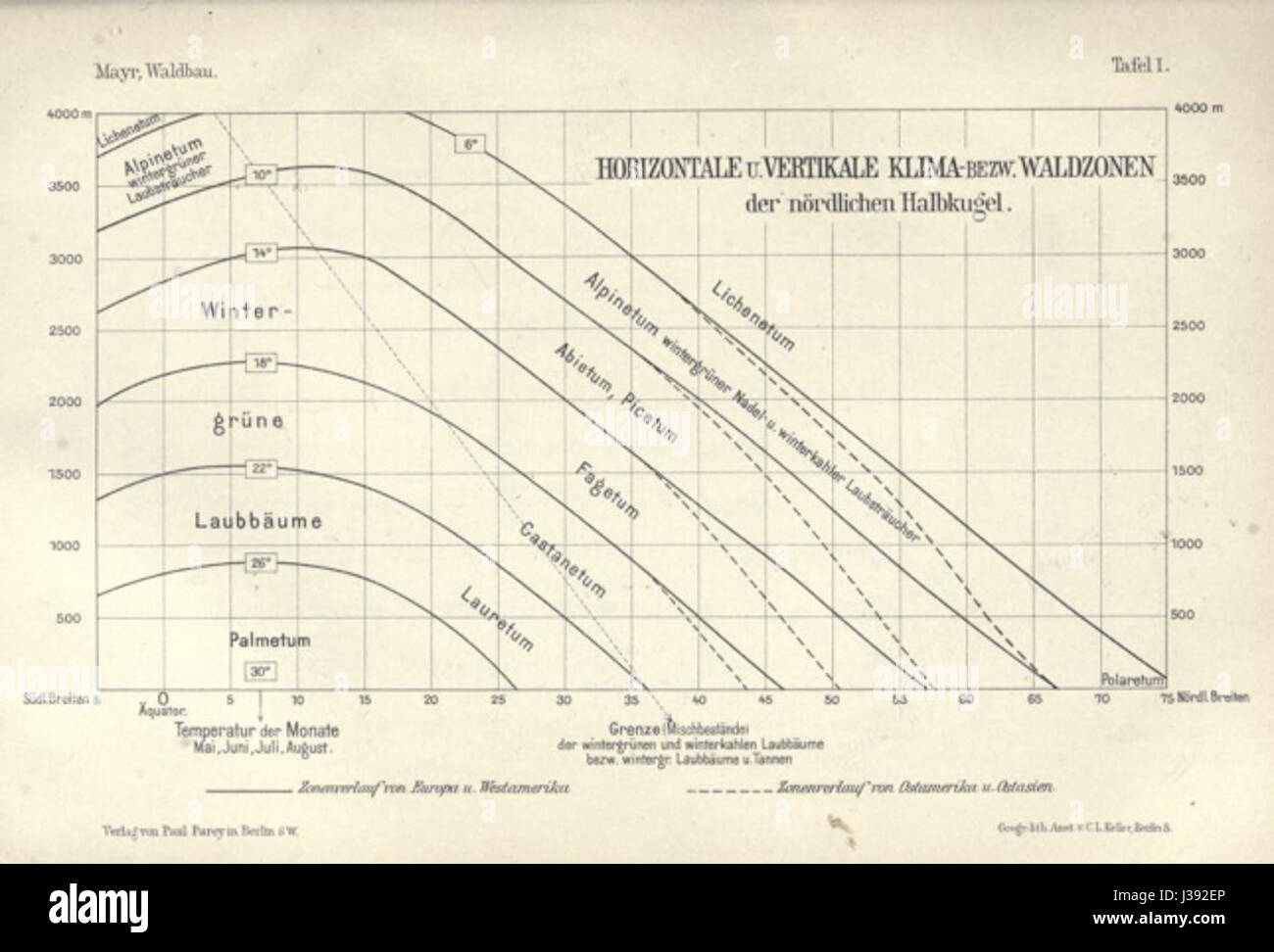 Classificazione di mayr Stock Photo - Alamy