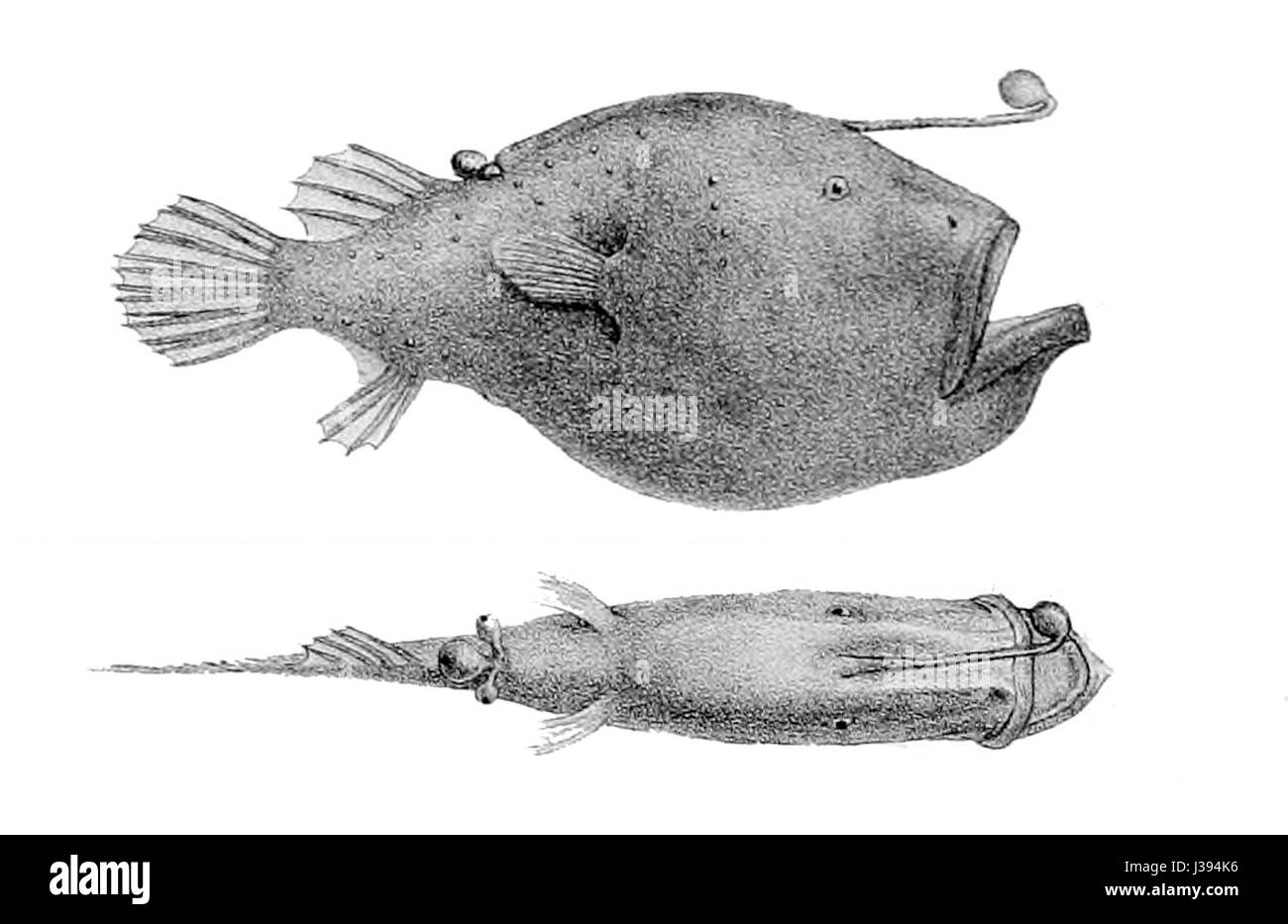 Long rivers Cut Out Stock Images & Pictures - Alamy