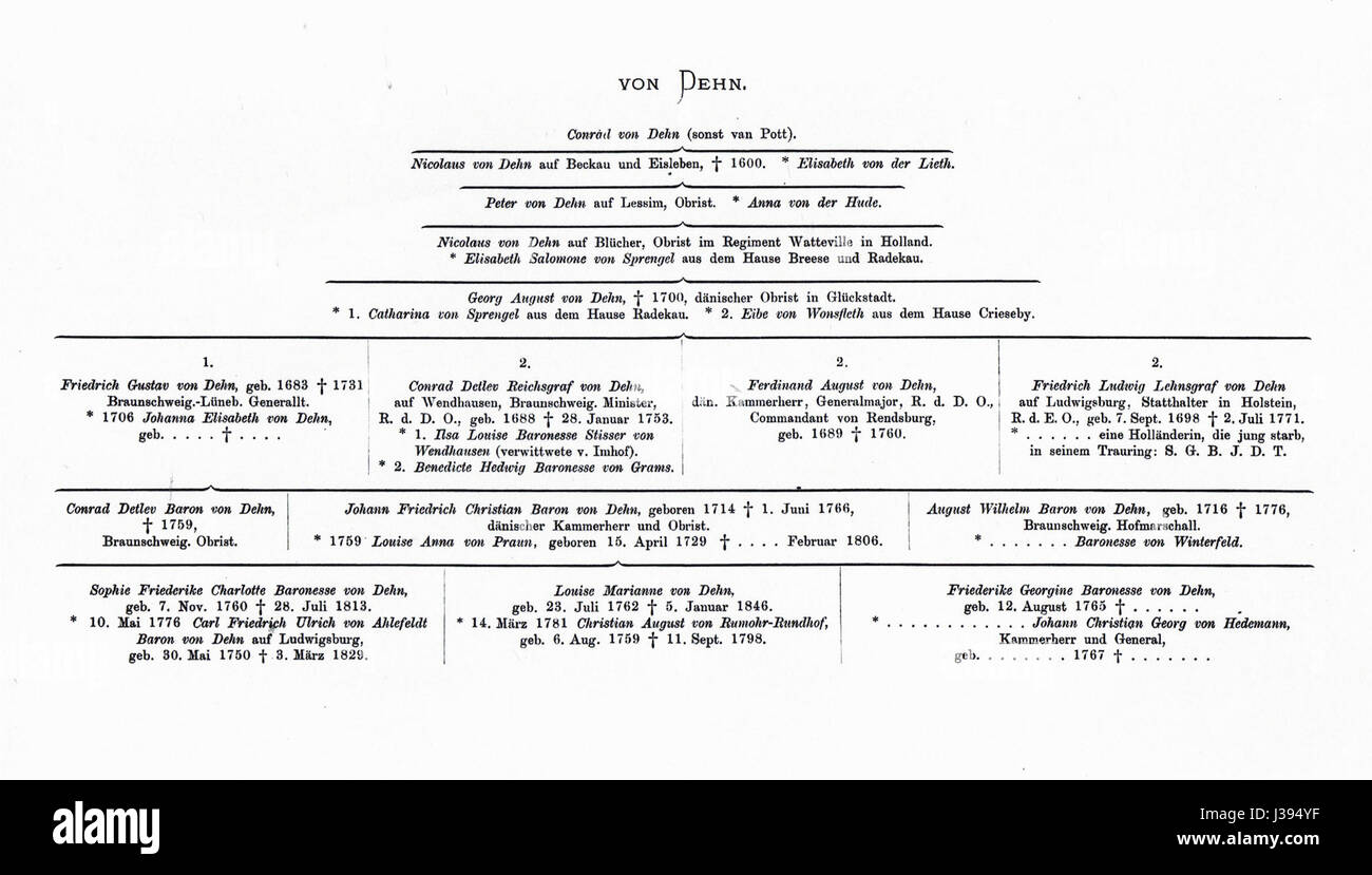 Family tree genealogy Cut Out Stock Images & Pictures - Alamy