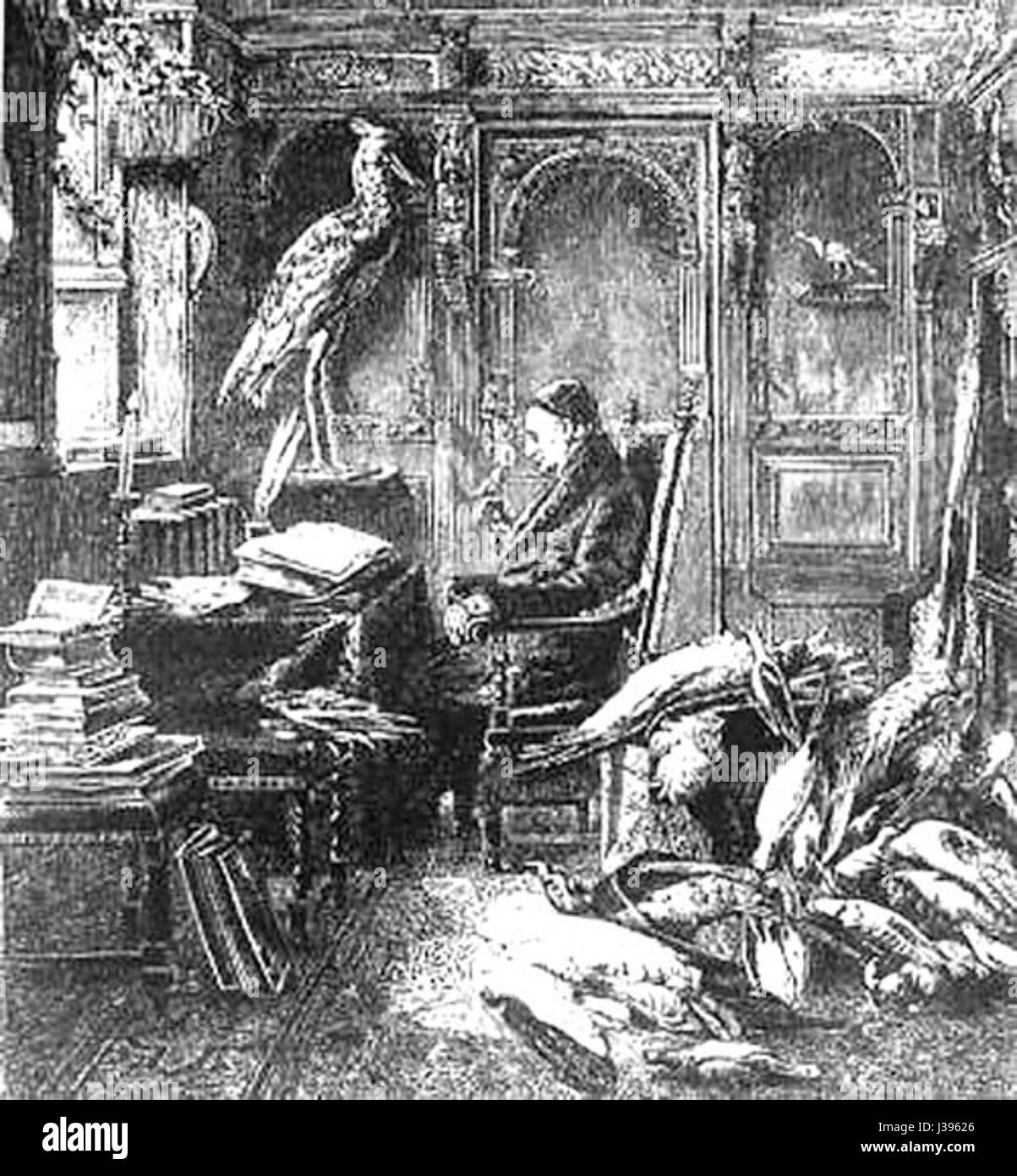 Christian Ludwig Brehm Stock Photo - Alamy