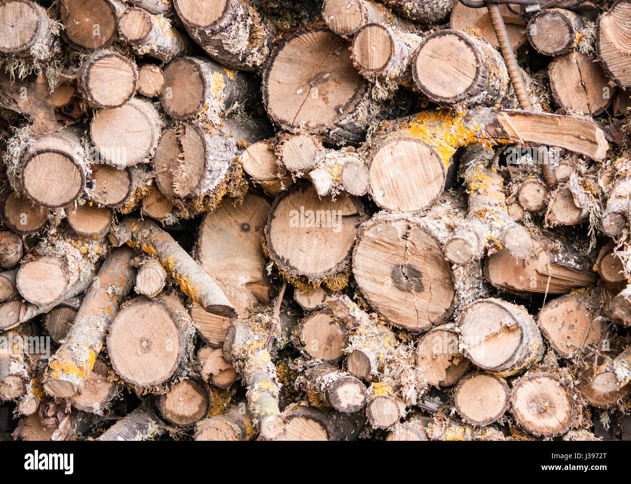 Pile of logs small hi-res stock photography and images - Alamy