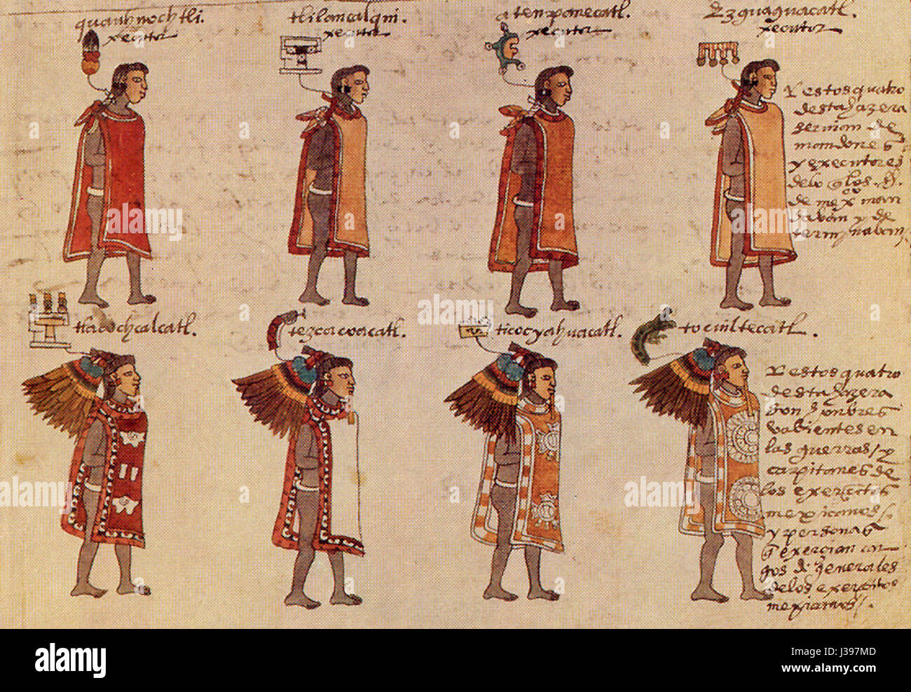 Codex Mendoza is an Aztec manuscript that includes historical accounts ...