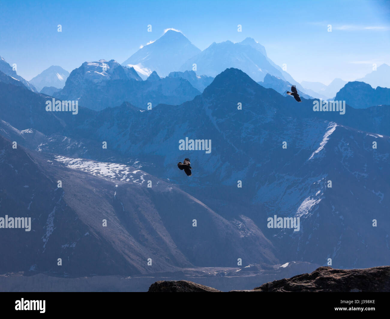 Two Ravens enjoy thermals near Gokyo Ri with Mount Everest back-lit on ...