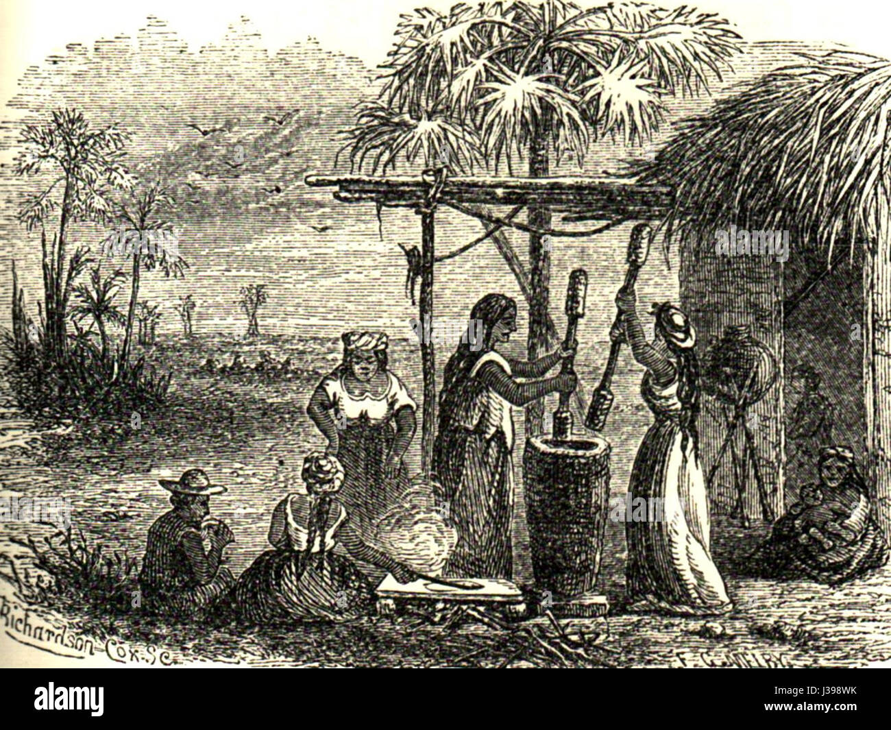 Scribneranaco hi-res stock photography and images - Alamy