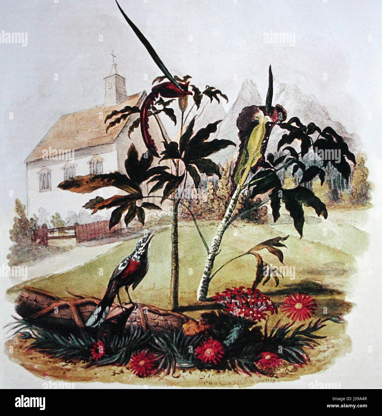 Christopher Webb Smith (born 1880) was an English painter, best known ...