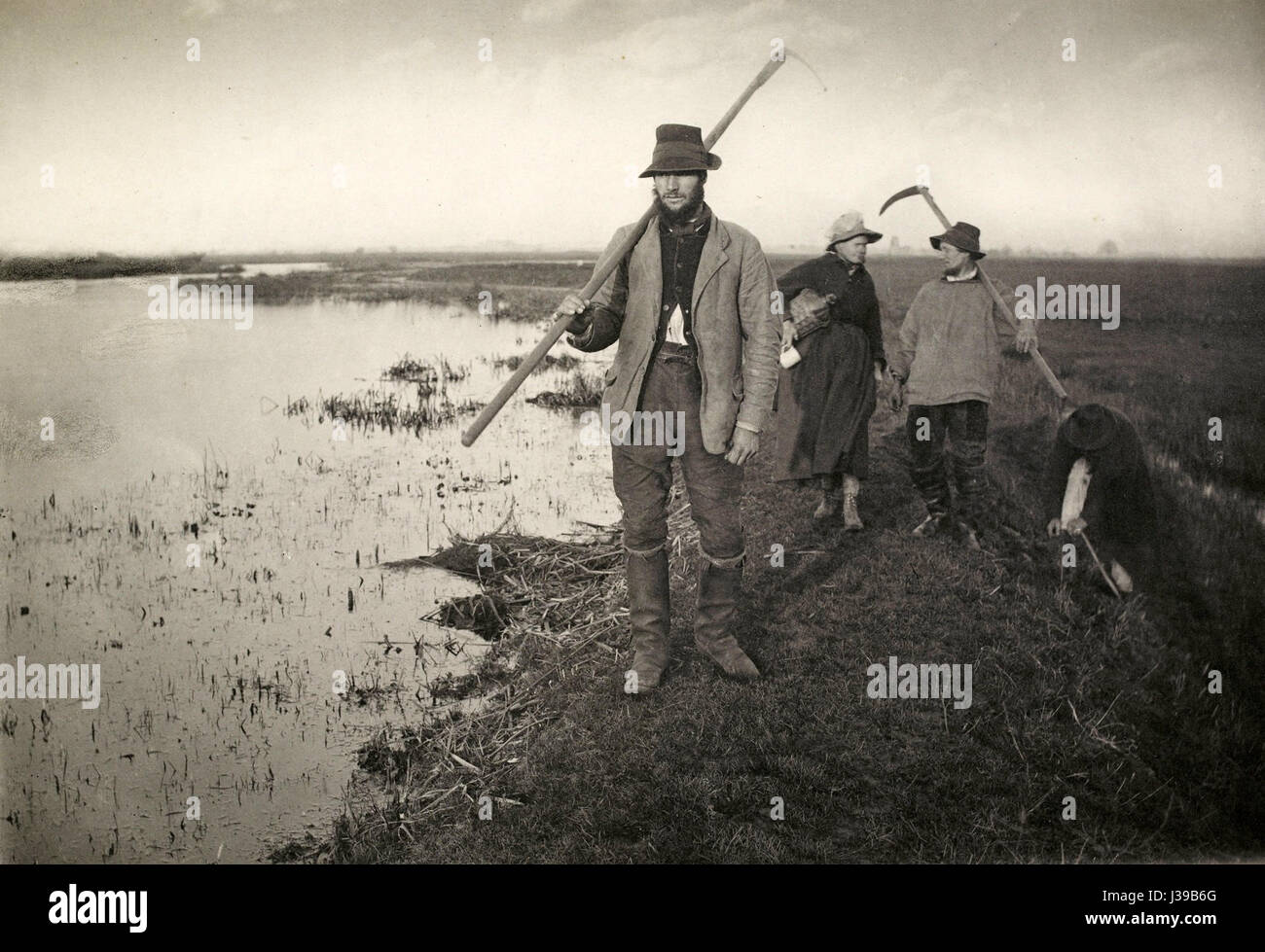 'Coming Home from the Marshes' by Peter Henry Emerson is a photograph ...