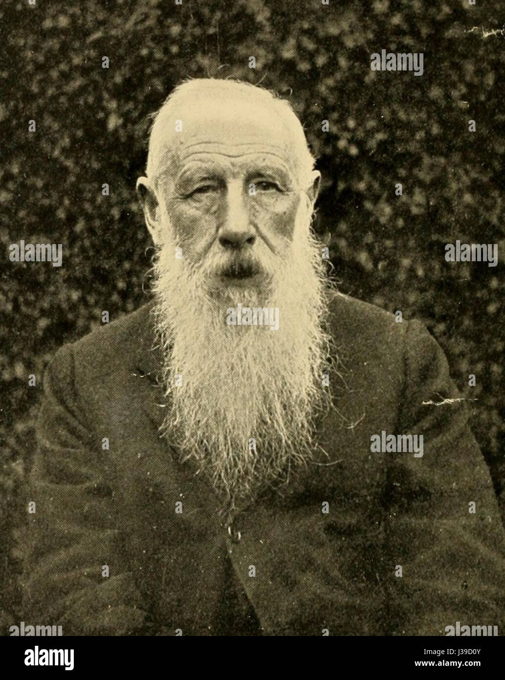 This image shows a cropped photo of a work by David Sharp, focusing on ...