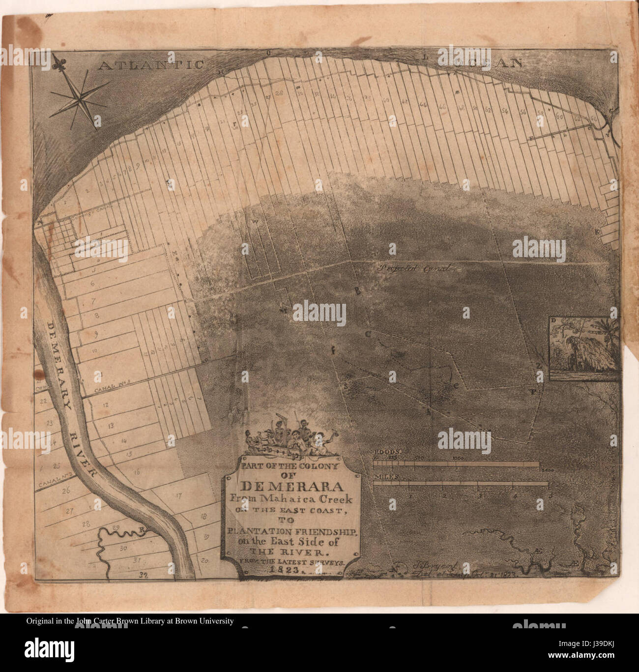 Demerara plantation hi-res stock photography and images - Alamy