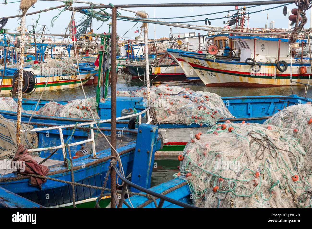 Houmt Souk, Marina, Tunisia, fishing boats, Djerba island, and a cat ...