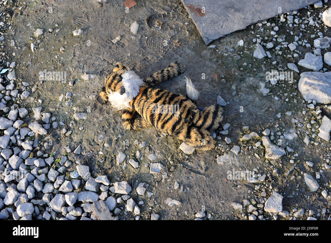 Reportage hi-res stock photography and images - Alamy