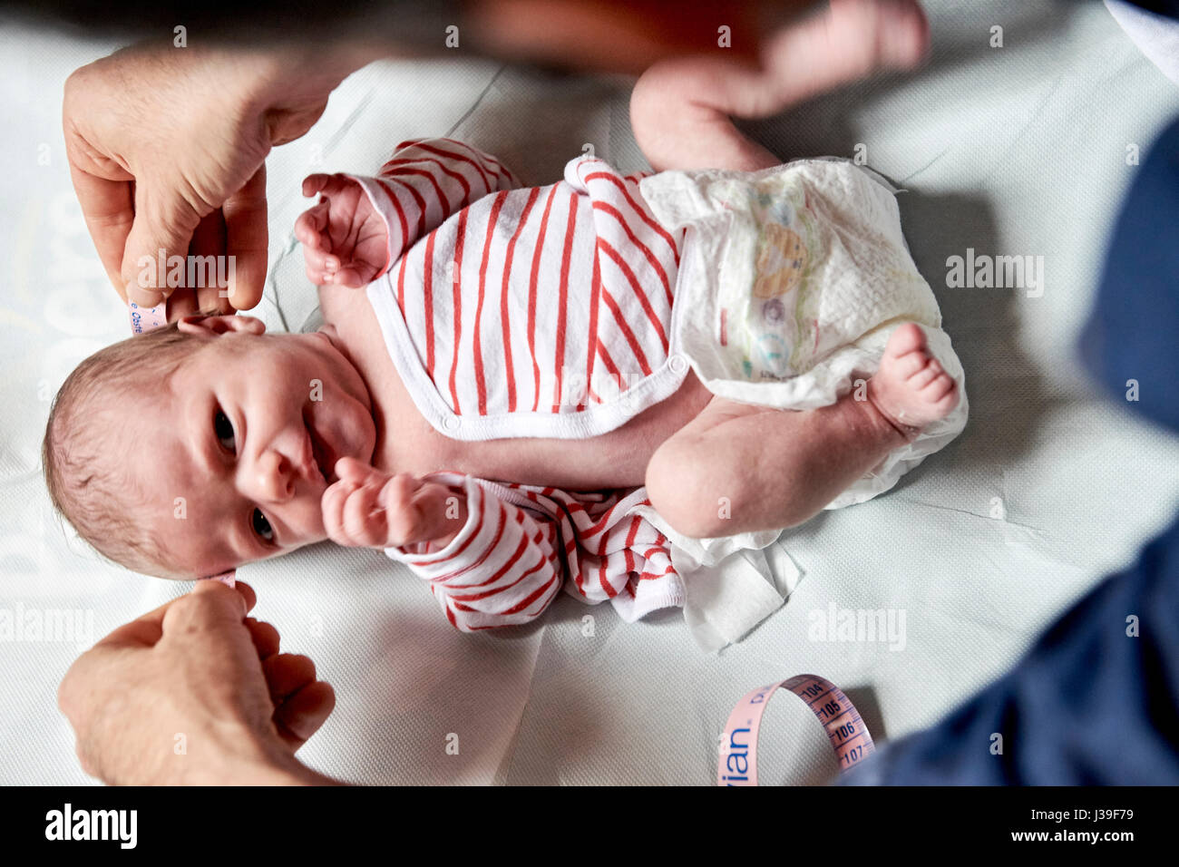 Skull newborn baby hi-res stock photography and images - Alamy