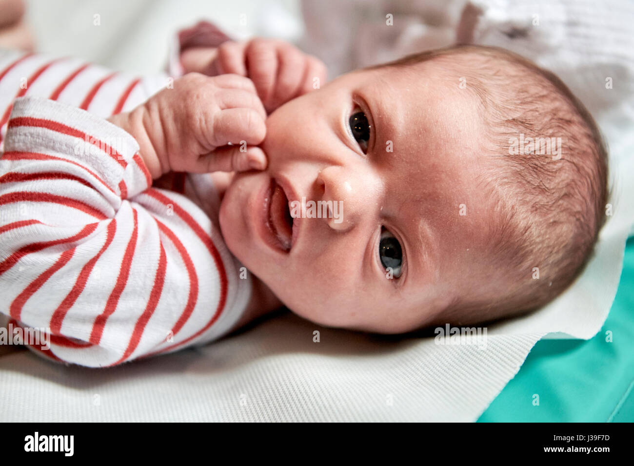 2 week old baby girl hi-res stock photography and images - Alamy